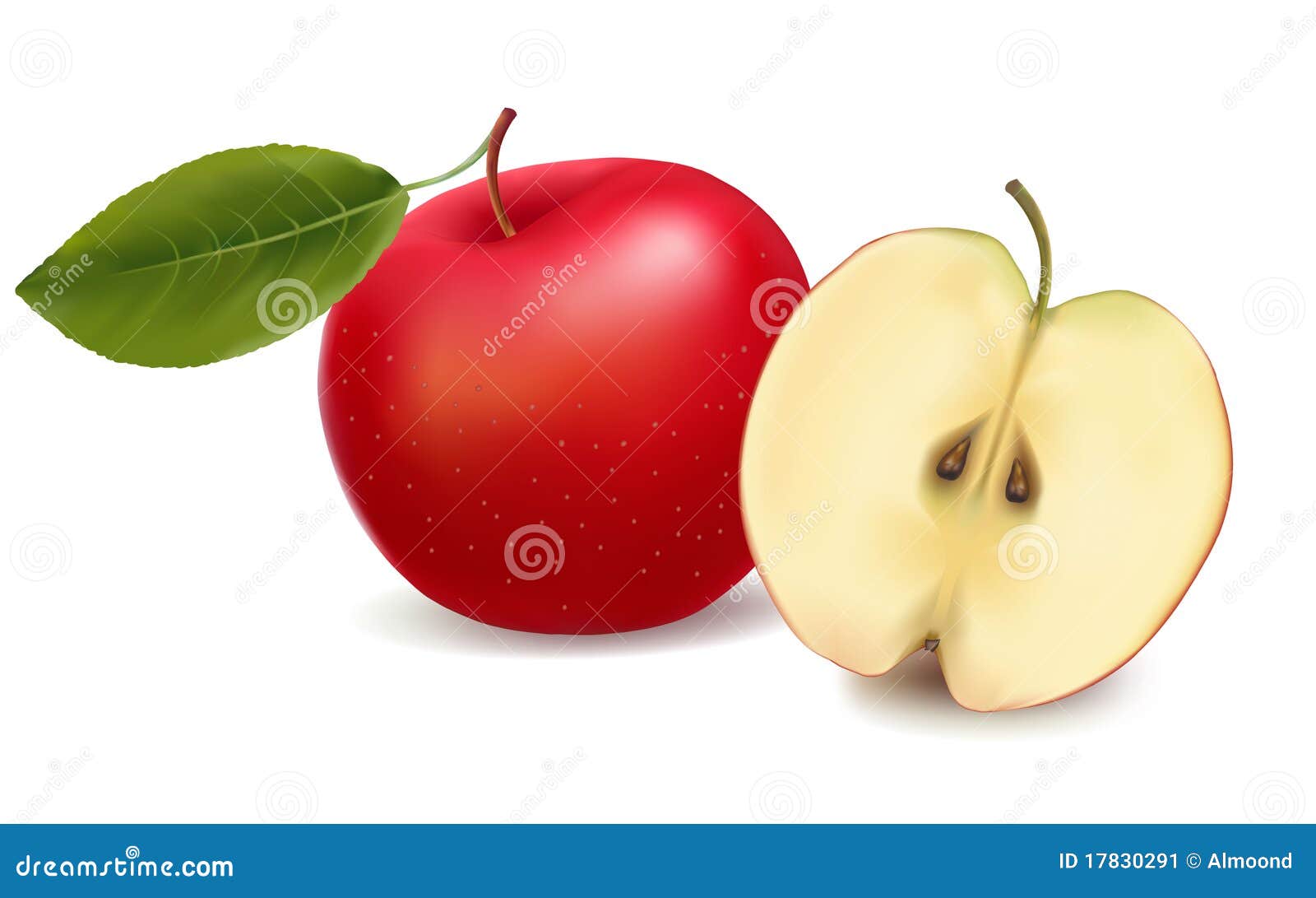 Fresh Red Whole Apple and a Half Apple. Stock Vector - Illustration of ...