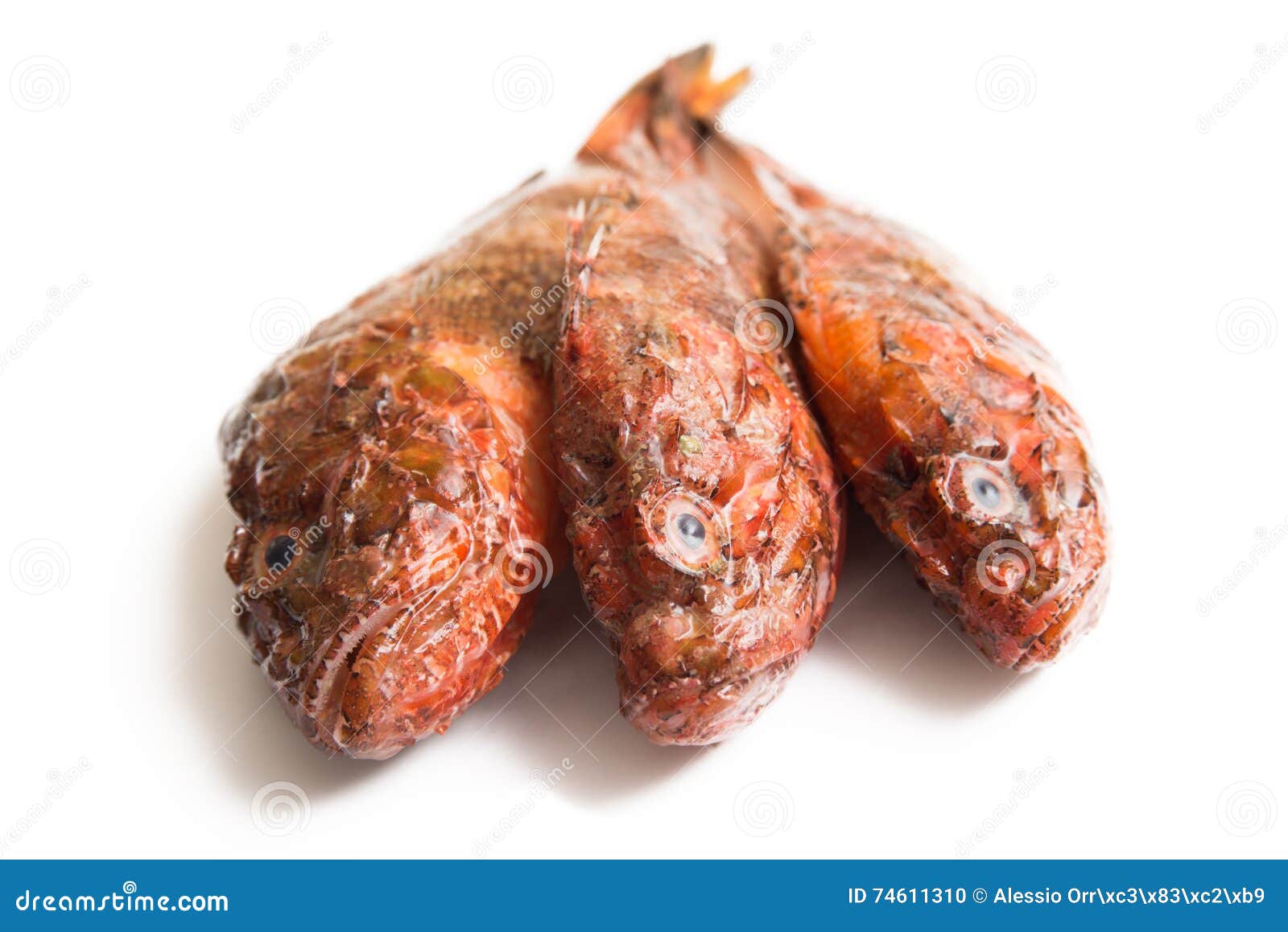 Fresh redfish stock photo. Image of food, restaurant - 74611310