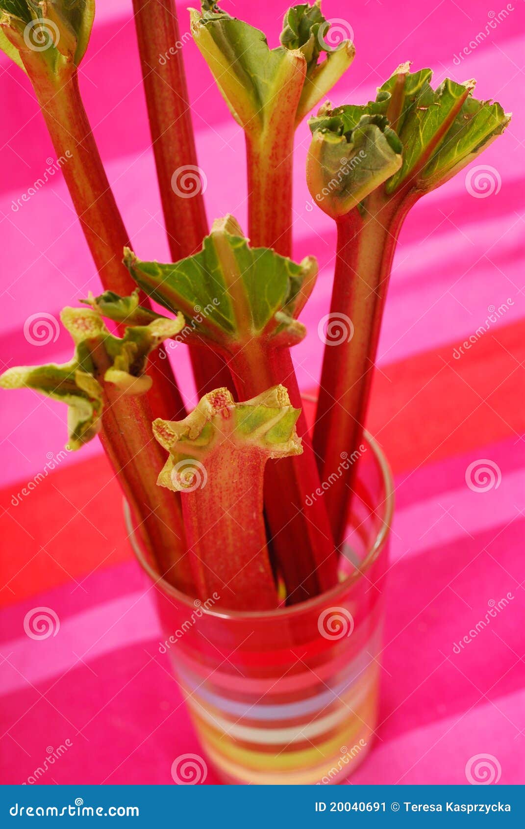 Fresh rhubarb stock image. Image of sweet, summer, food - 20040691