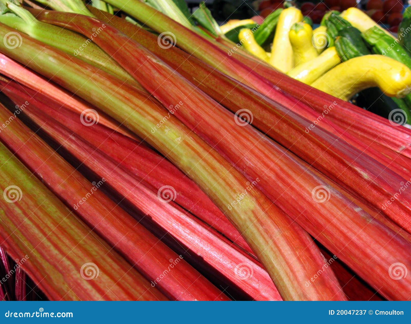 Fresh Rhubarb stock image. Image of market, rhubarb, healthy - 20047237