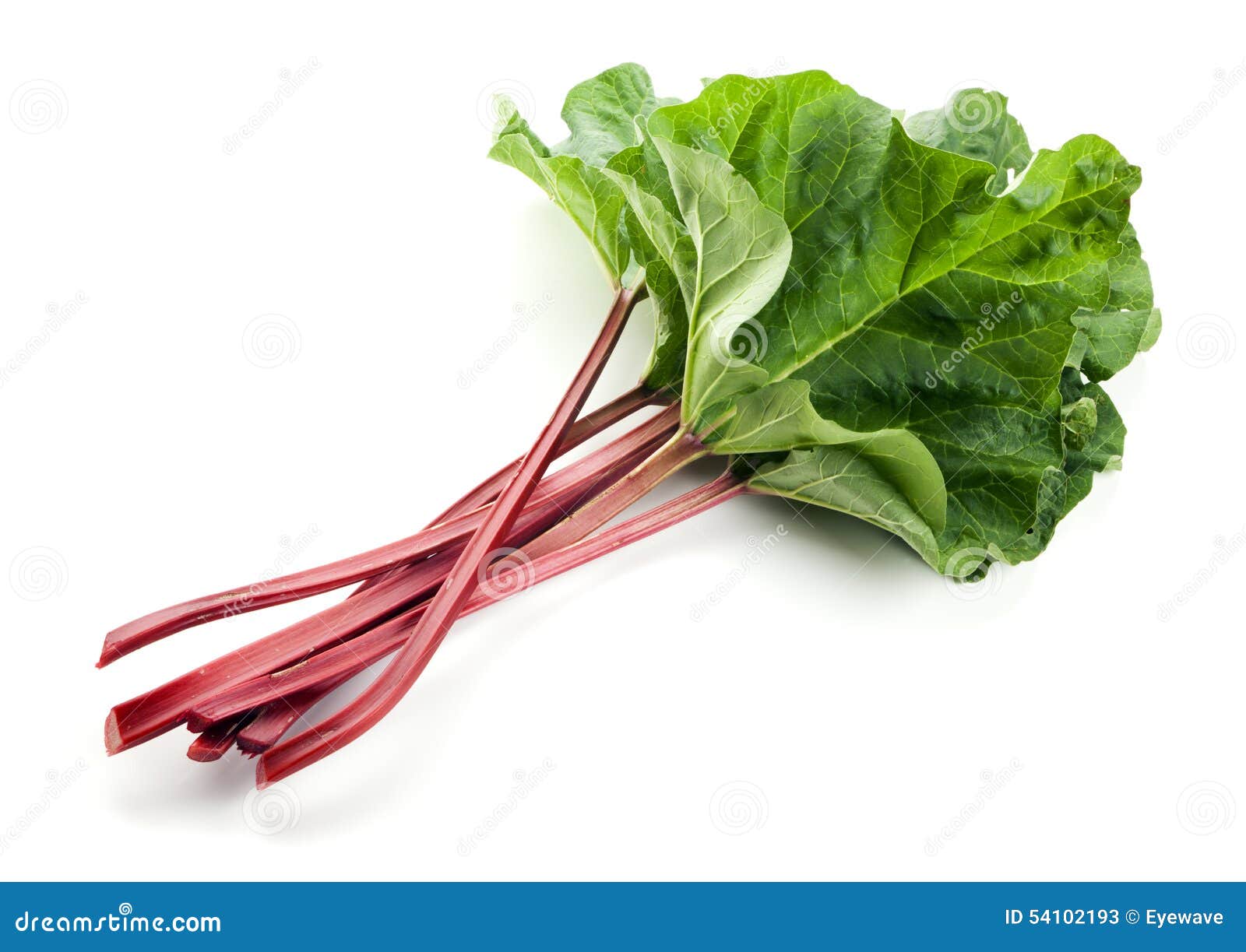 Fresh Rhubarb Isolated stock image. Image of stalk, food - 54102193