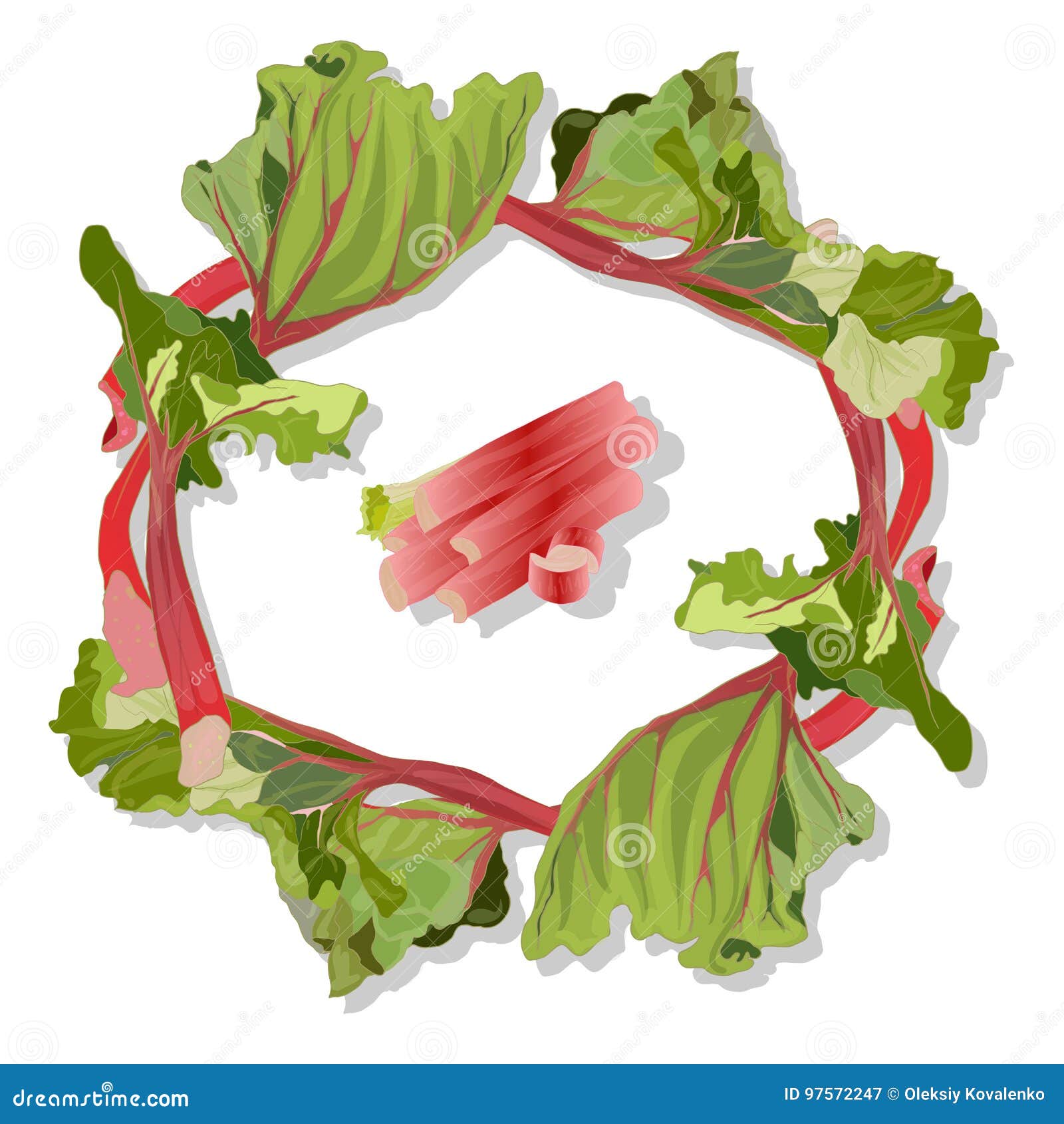 Fresh Rhubarb Isolated on White Stock Vector - Illustration of ...