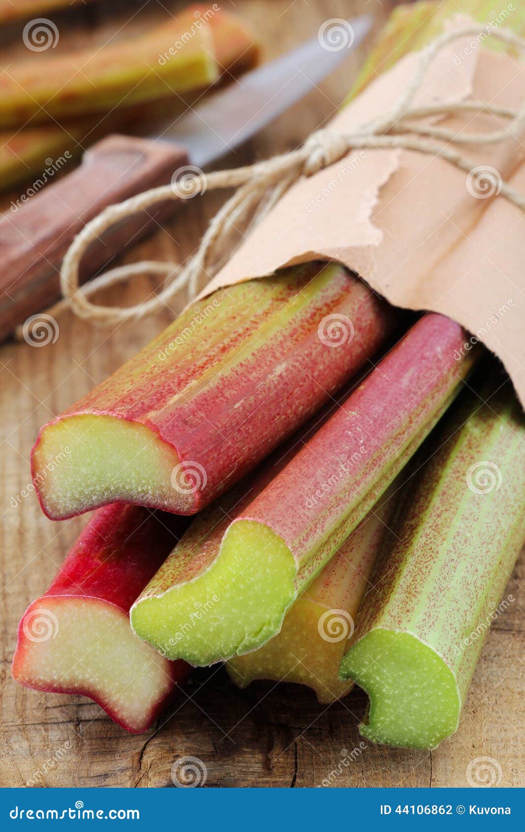 Fresh rhubarb stalks stock photo. Image of petiole, sour - 44106862