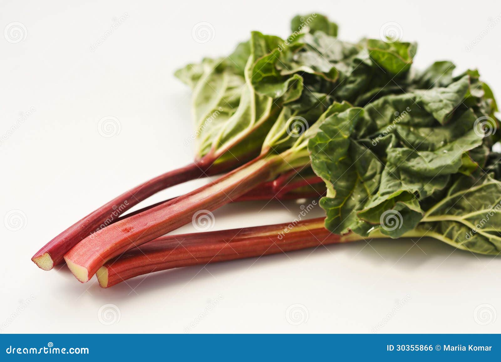 Fresh rhubarb stock photo. Image of juice, bunch, herb - 30355866