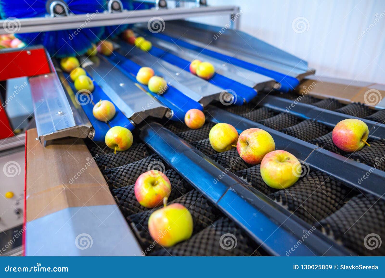 Robotic Sorting System. Media. Gripper On Universal Robot Is Sorting ...