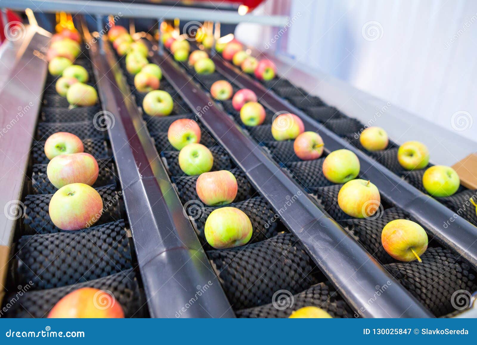 Robotic Sorting System. Media. Gripper On Universal Robot Is Sorting ...