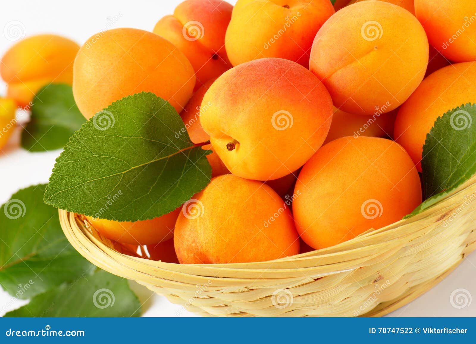 Fresh ripe apricots stock photo. Image of basket, fresh - 70747522