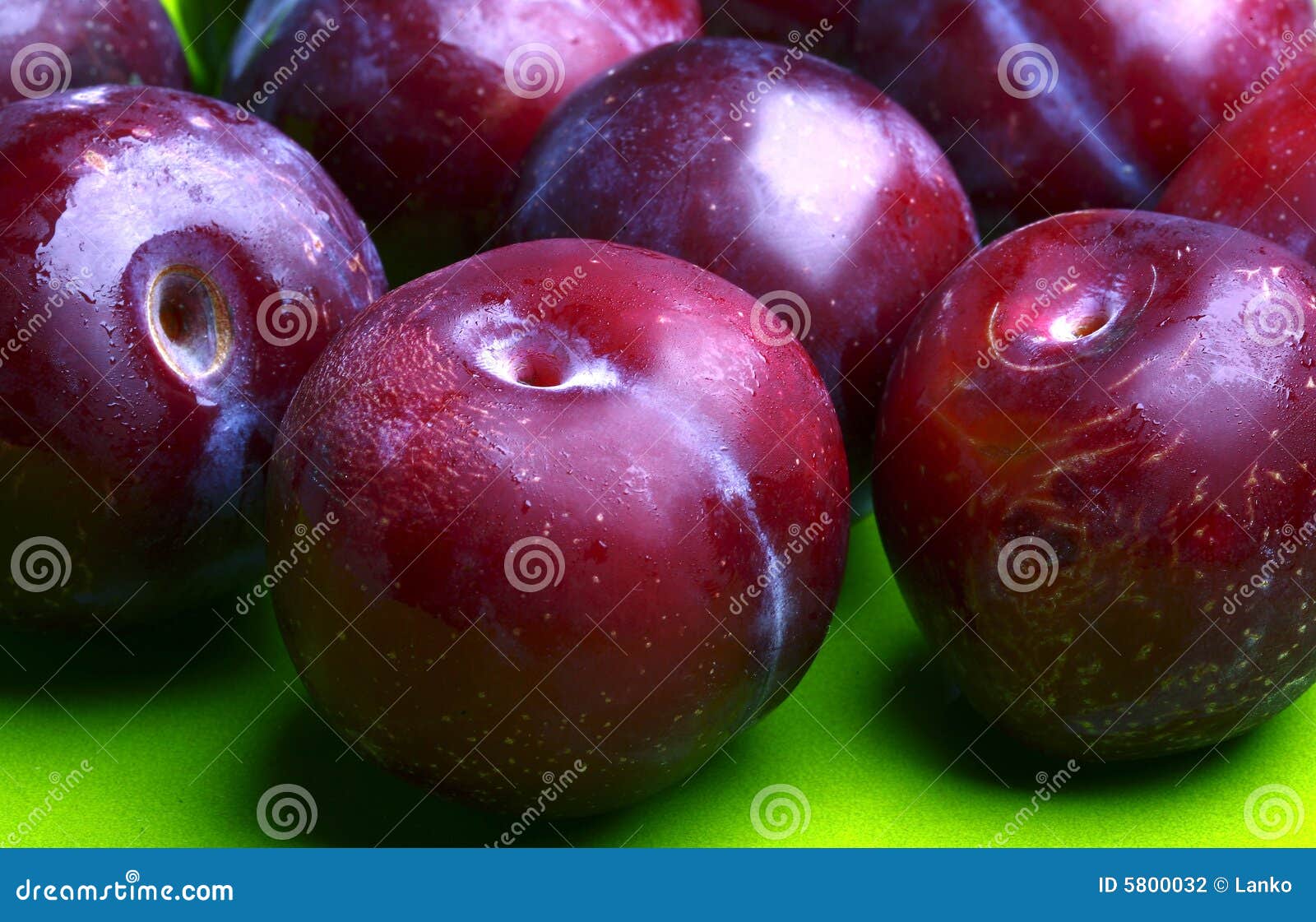 Fresh ripe blue plums stock photo. Image of nature, plums - 5800032