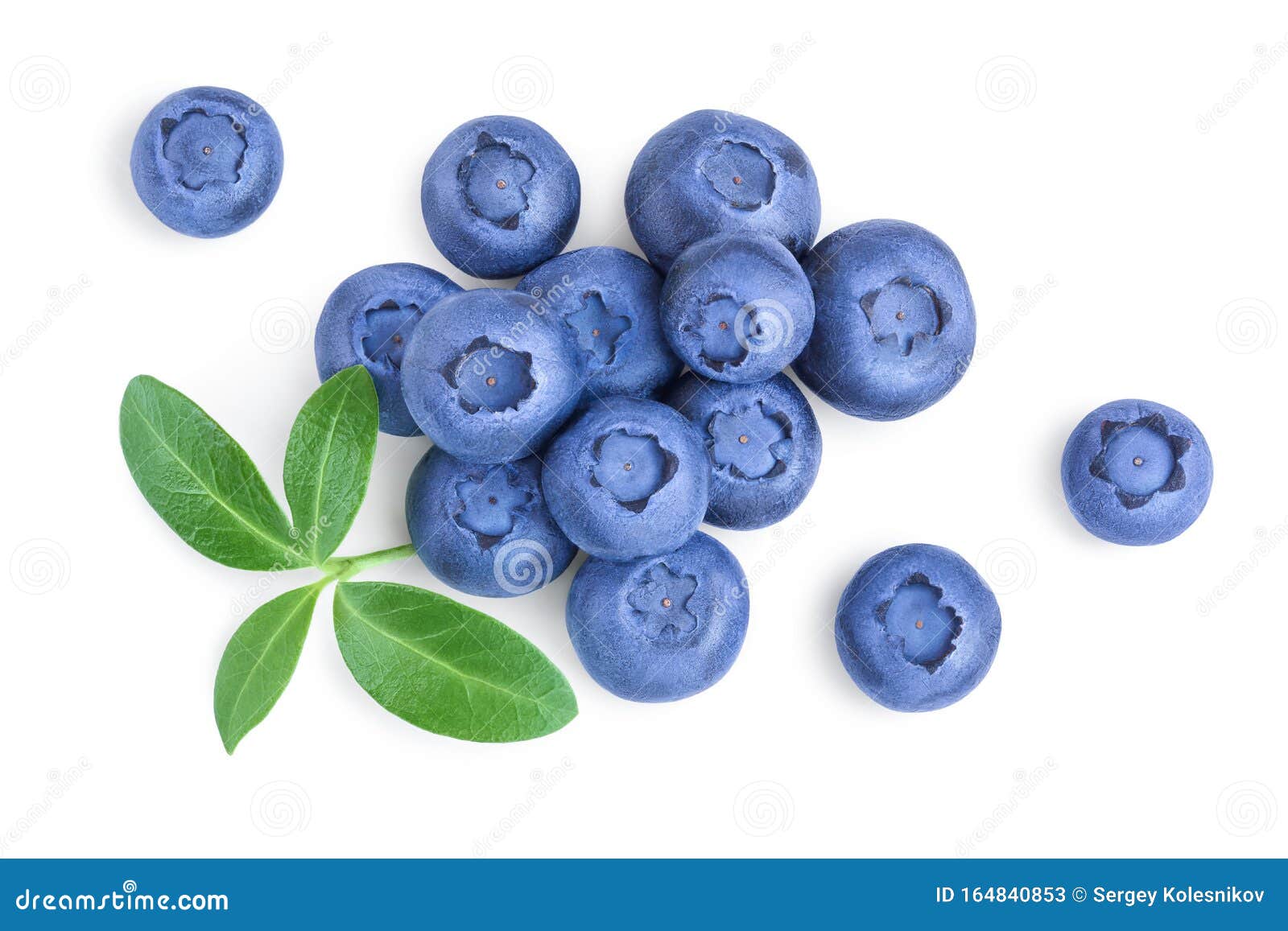 Fresh Ripe Blueberry with Leaves Isolated on White Background. Top View ...