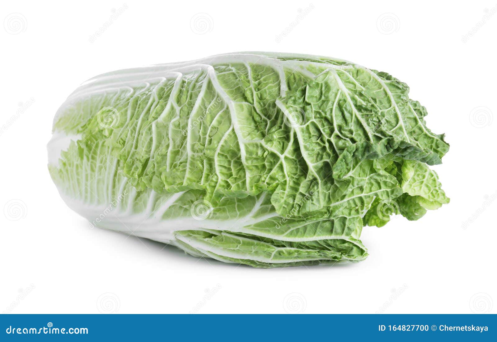 Fresh Ripe Chinese Cabbage Isolated Stock Photo - Image of freshness ...