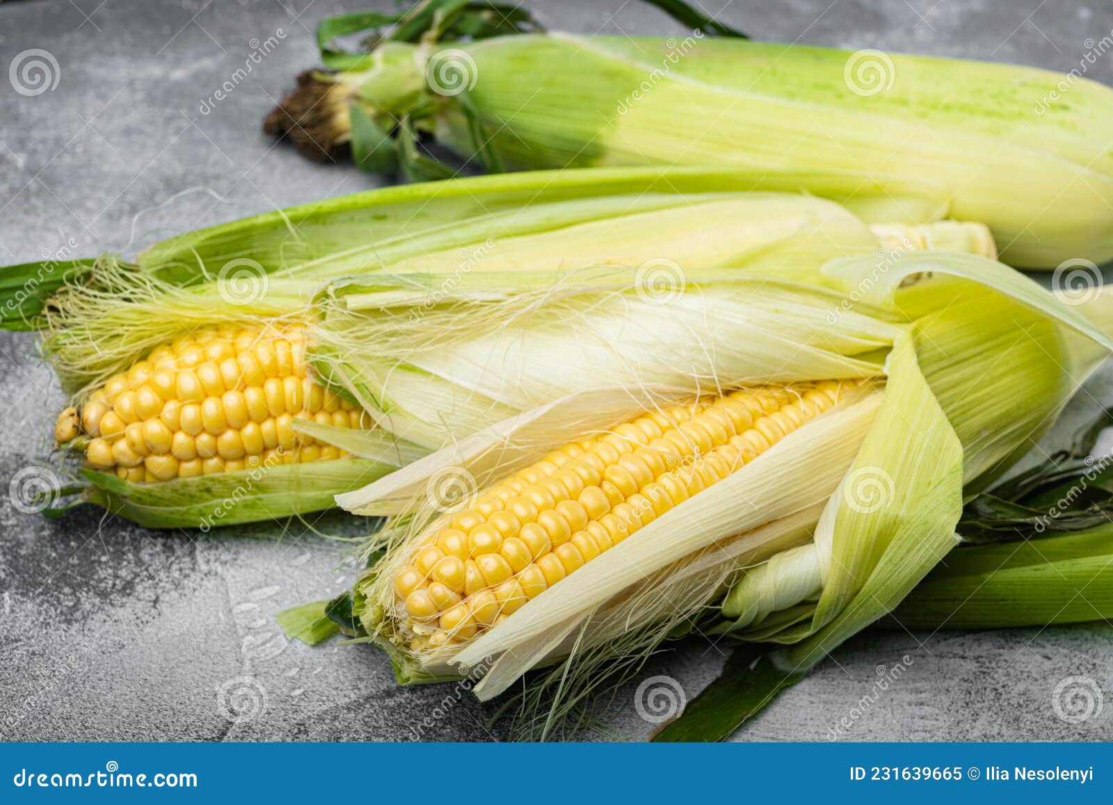 Fresh Ripe Corn Cobs, on Gray Stone Table Background Stock Image ...
