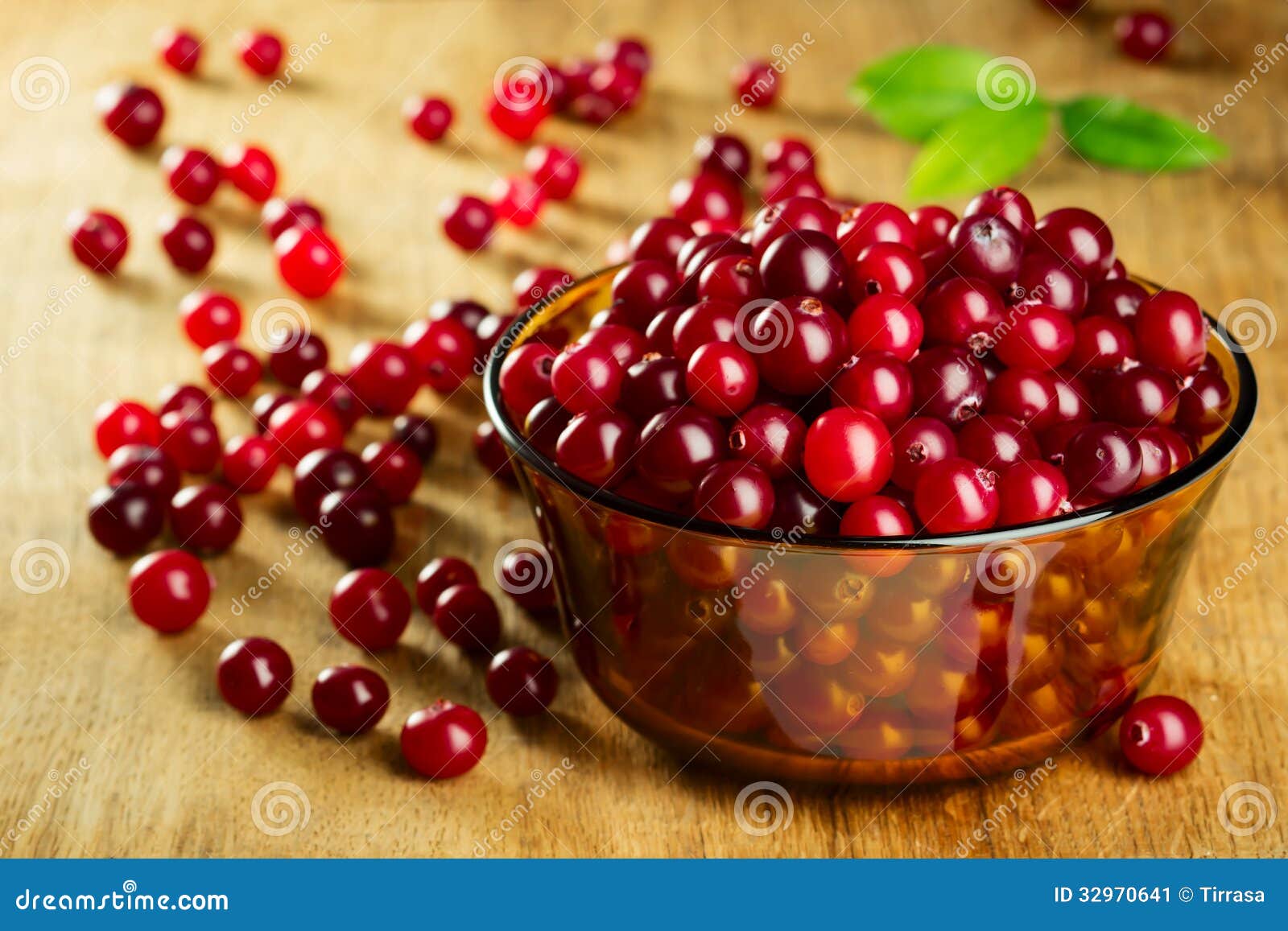 Fresh ripe cranberries stock image. Image of sour, glass - 32970641