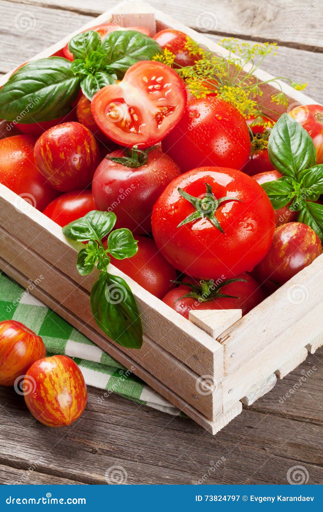 Fresh Ripe Garden Tomatoes and Basil Stock Image - Image of food ...