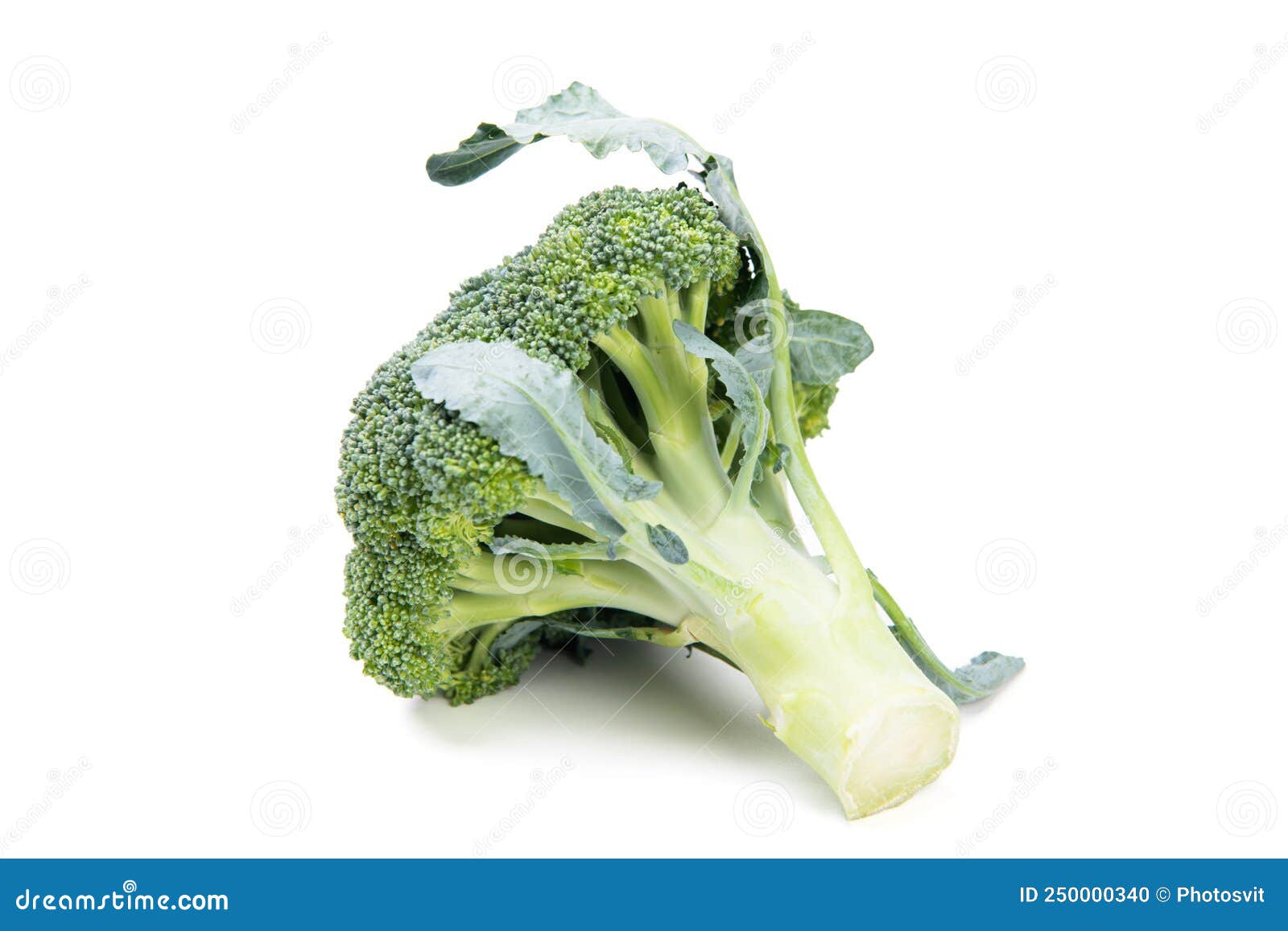 Fresh and Ripe Green Broccoli Isolated on White Stock Photo - Image of ...