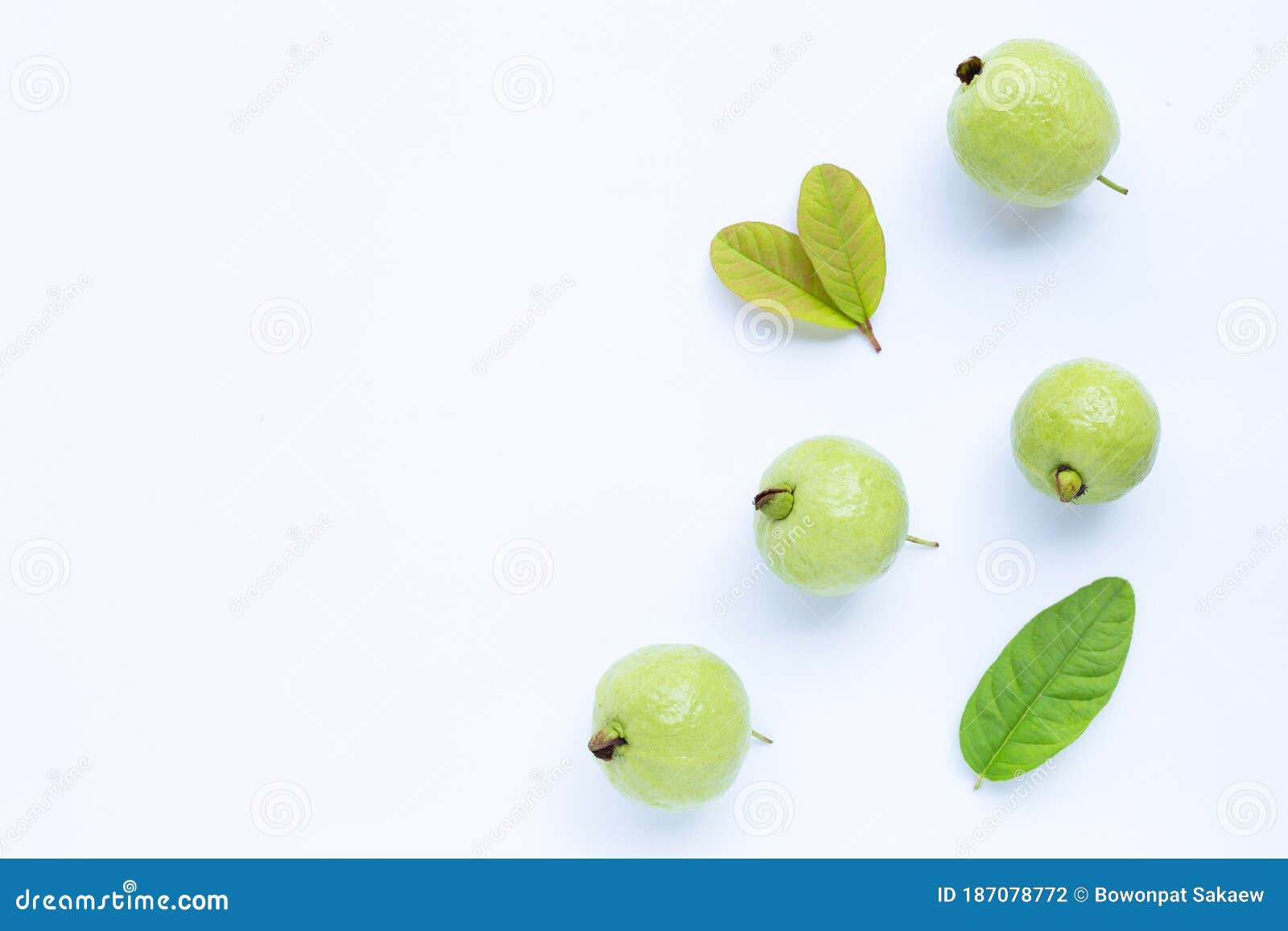Fresh Ripe Guava with Leaves. Stock Photo - Image of basket, green ...