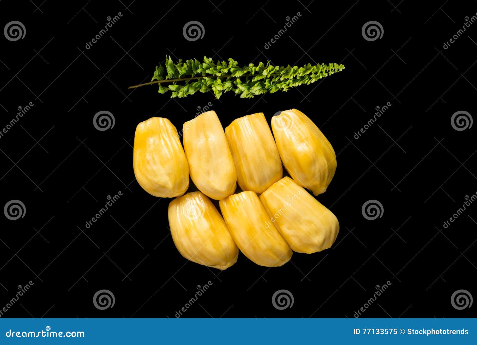 Fresh Ripe Jackfruit with Green Leaf Isolated on Black Background. Top ...