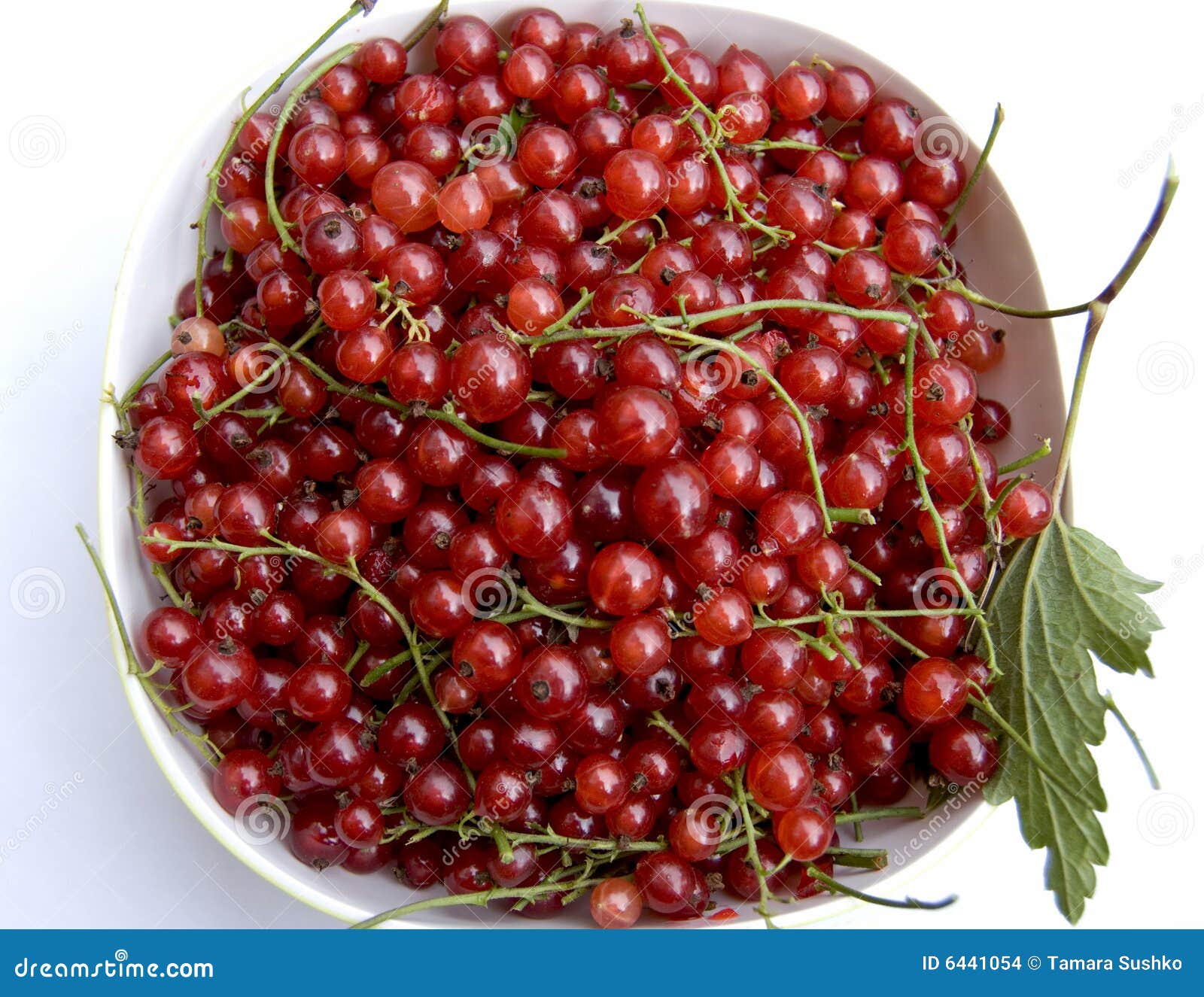 Fresh, Ripe, Juicy Currants Stock Photo - Image of currants, natural ...