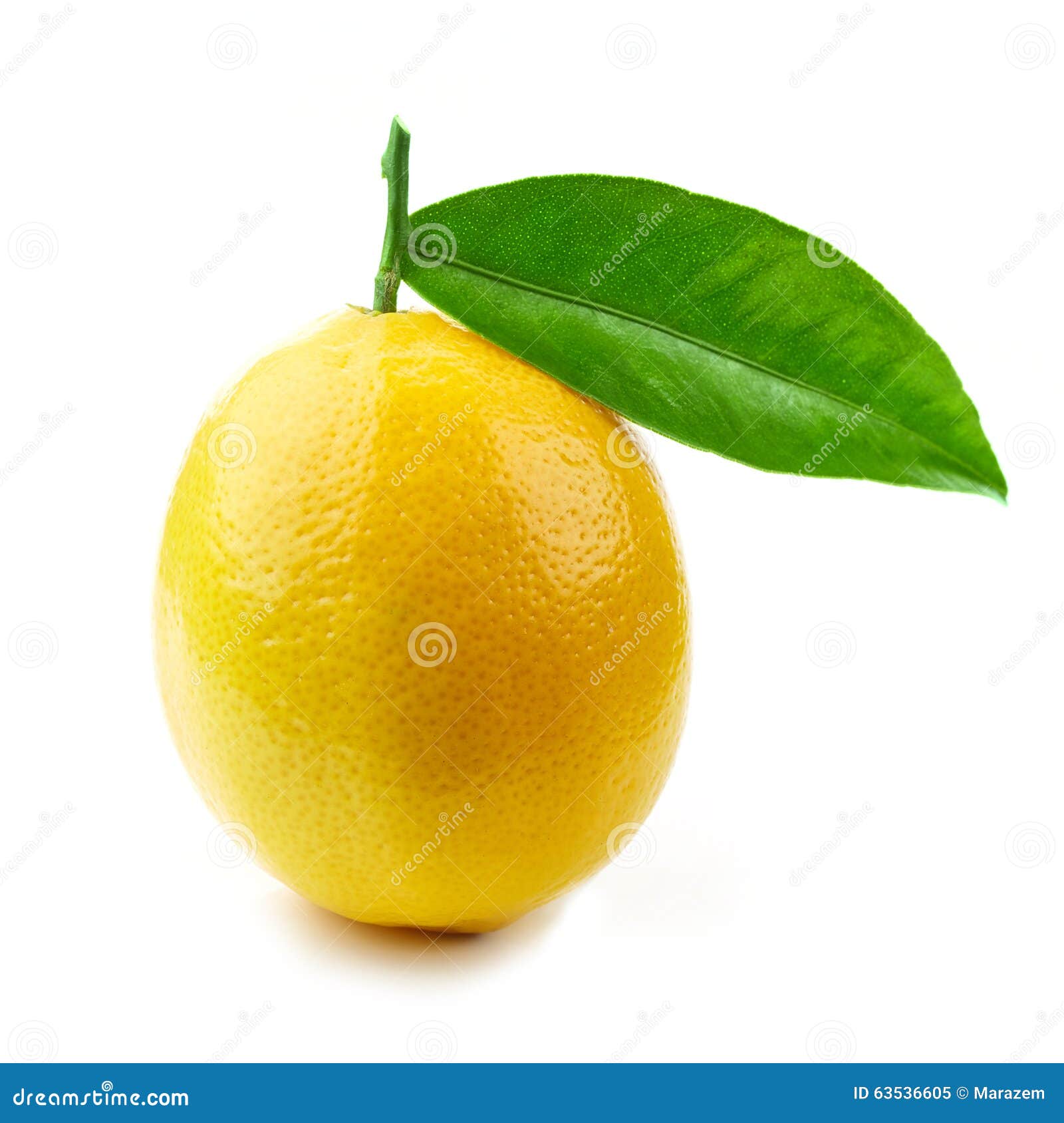 Fresh ripe lemon stock image. Image of sour, white, biological - 63536605