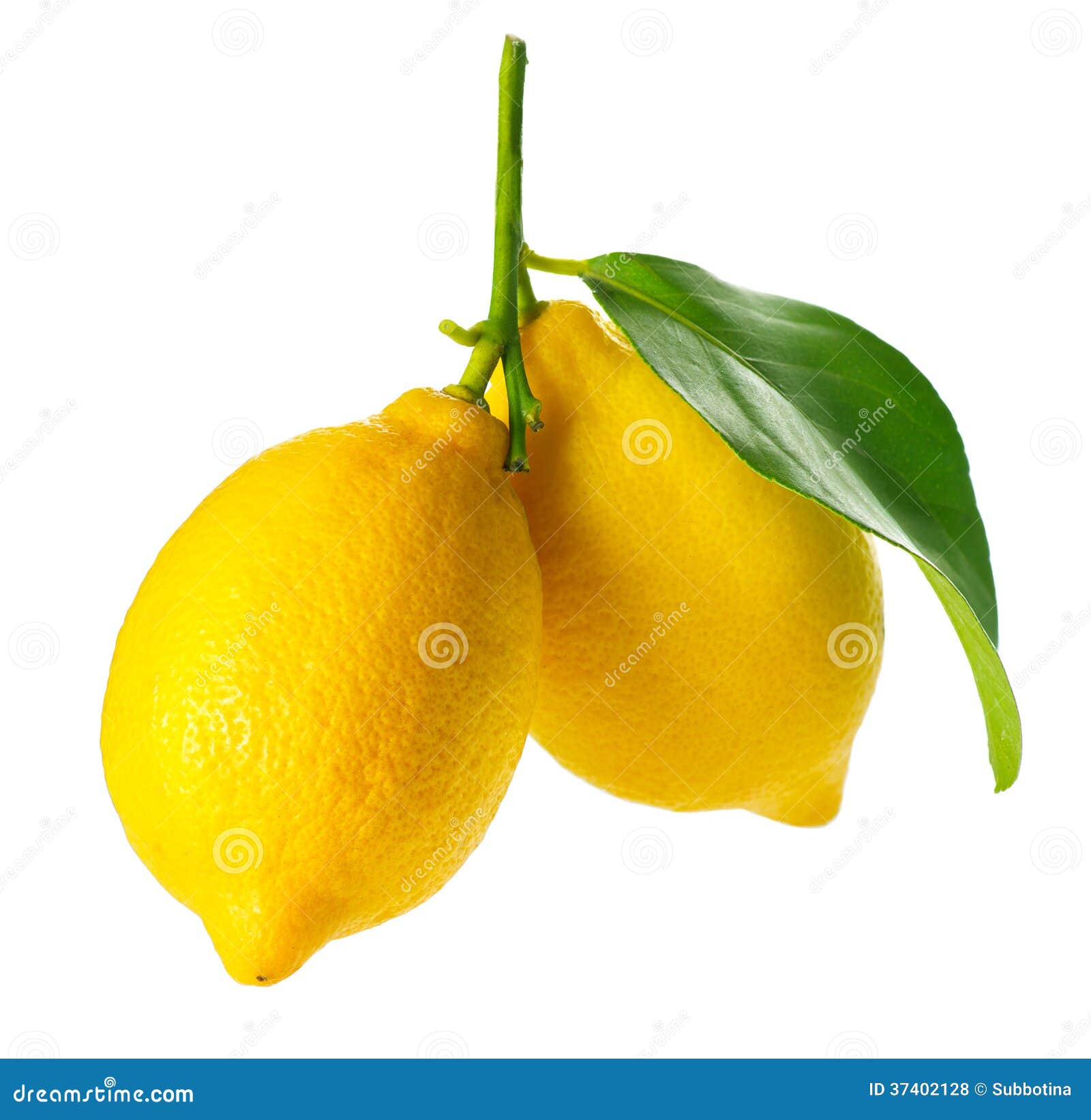 Fresh and Ripe Lemons stock photo. Image of lemon, lime - 37402128