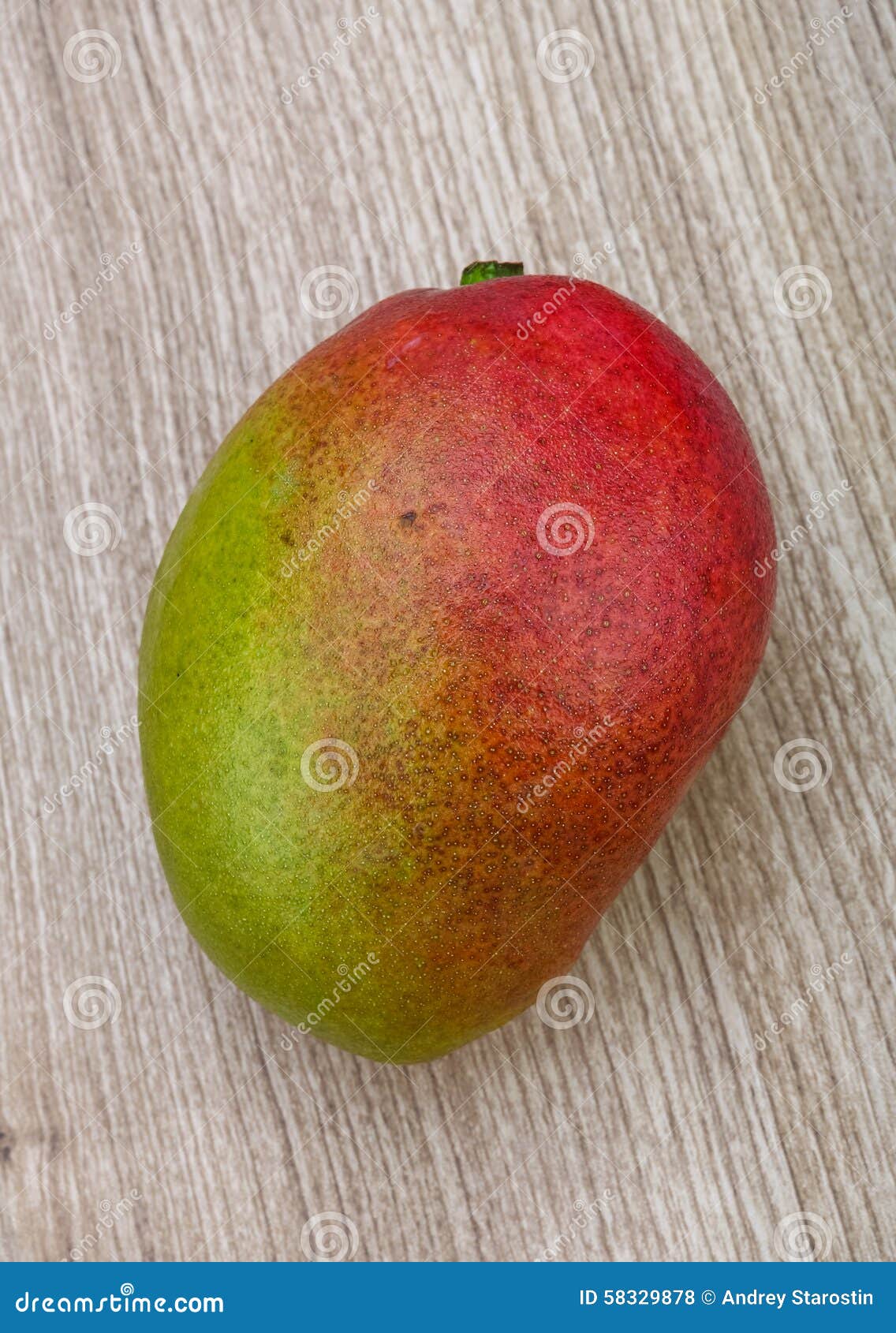 Fresh ripe mango stock photo. Image of leaf, single, delicious - 58329878