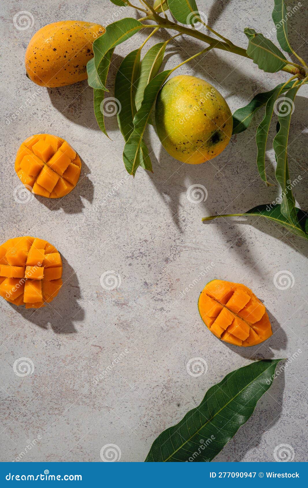 Fresh Ripe Mango Fruits and Leaves Stock Image - Image of organic ...