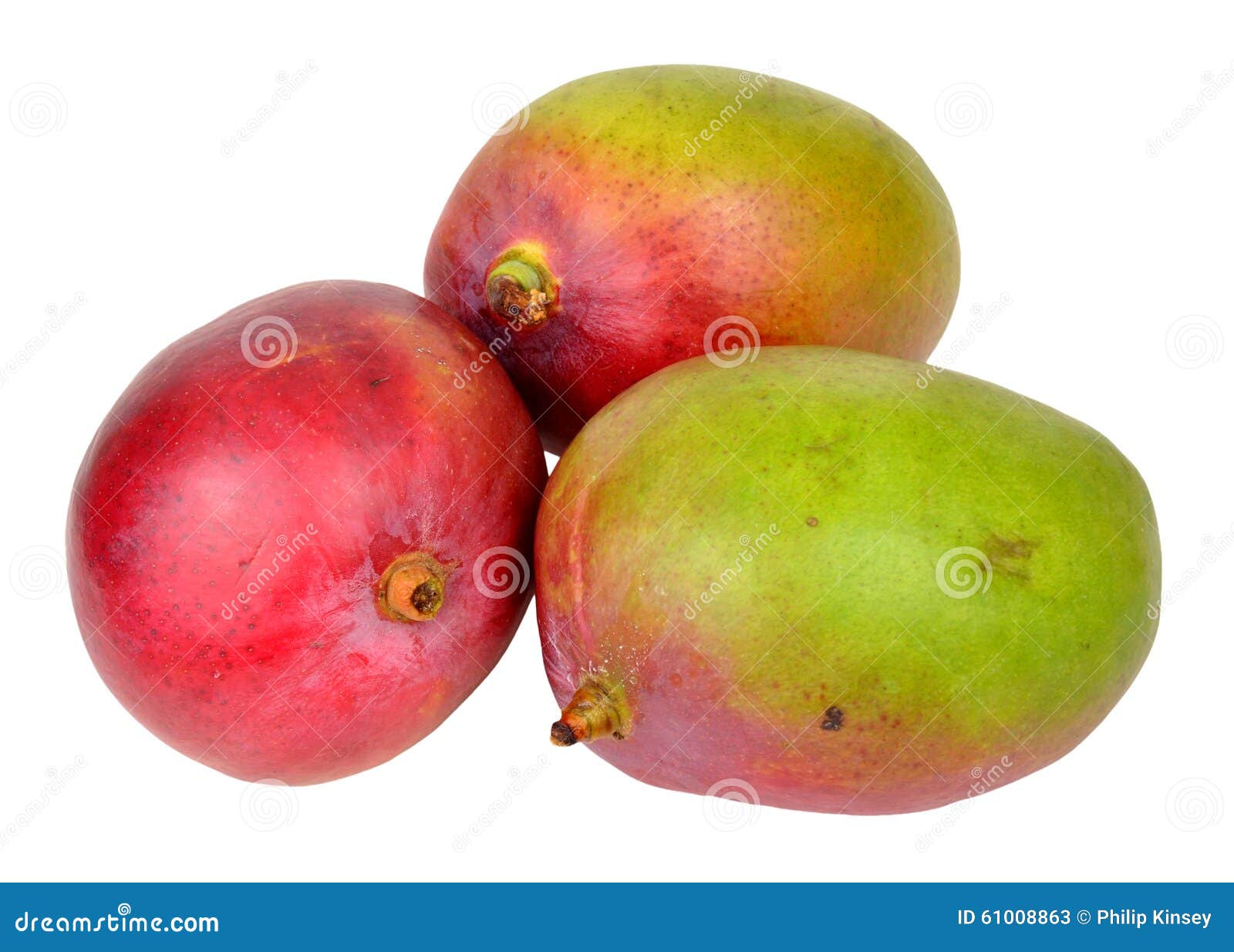 Fresh Ripe Mangoes stock image. Image of ingredient, trio - 61008863