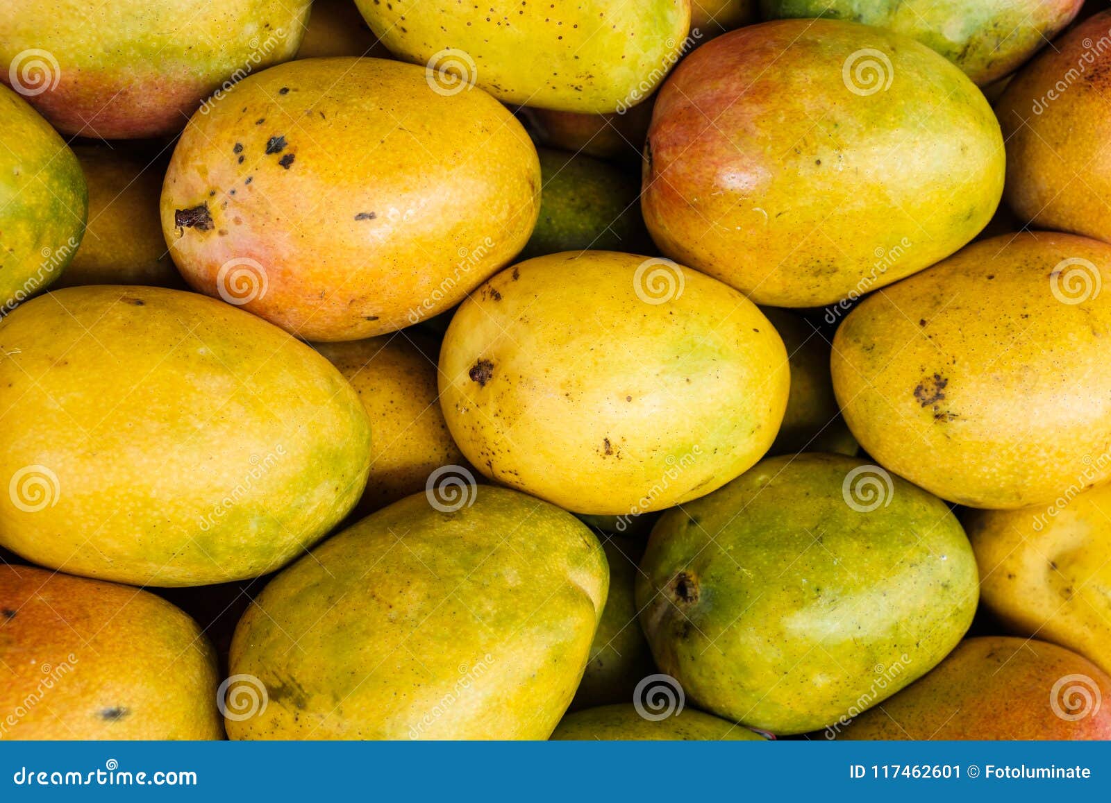 Fresh ripe mangos stock image. Image of round, food - 117462601