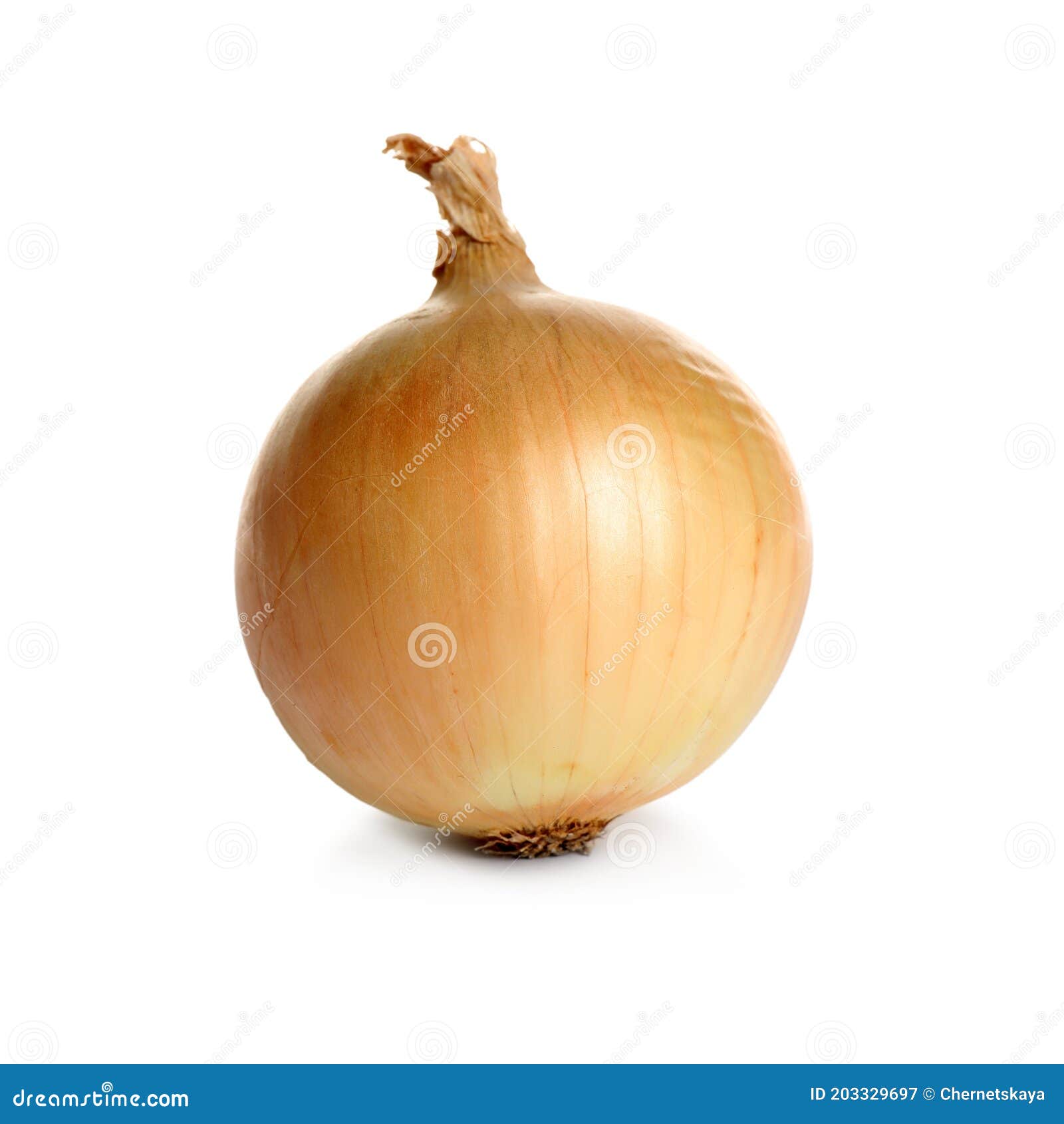 Fresh Ripe Onion Bulb Isolated on White Stock Image - Image of diet ...