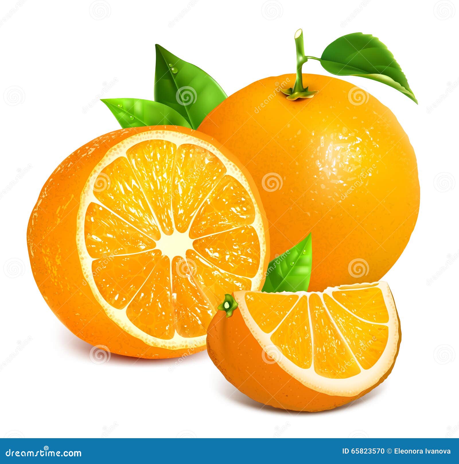 Fresh ripe oranges stock vector. Illustration of dewdrop - 65823570