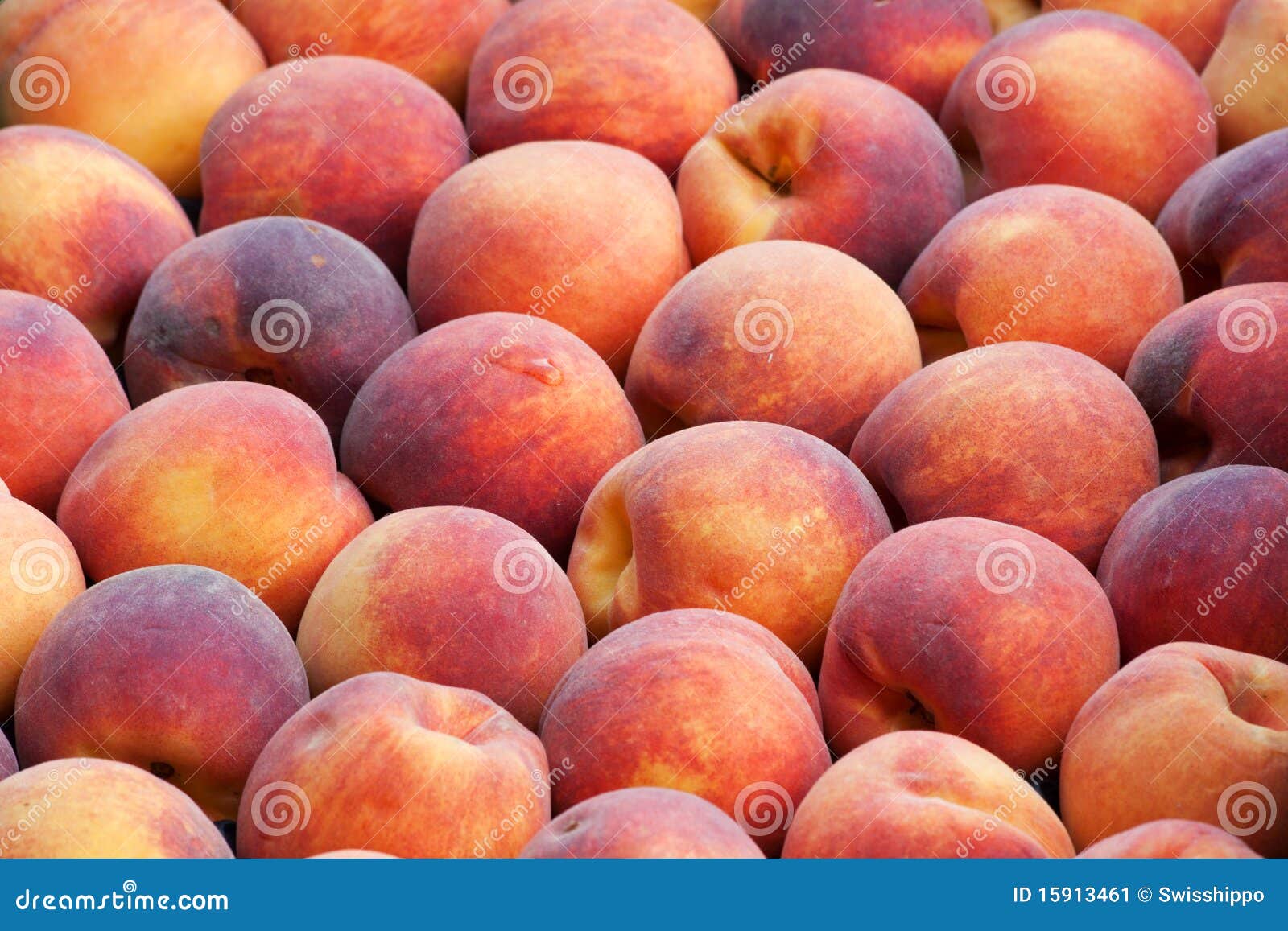 Fresh ripe peaches stock image. Image of fruit, food - 15913461
