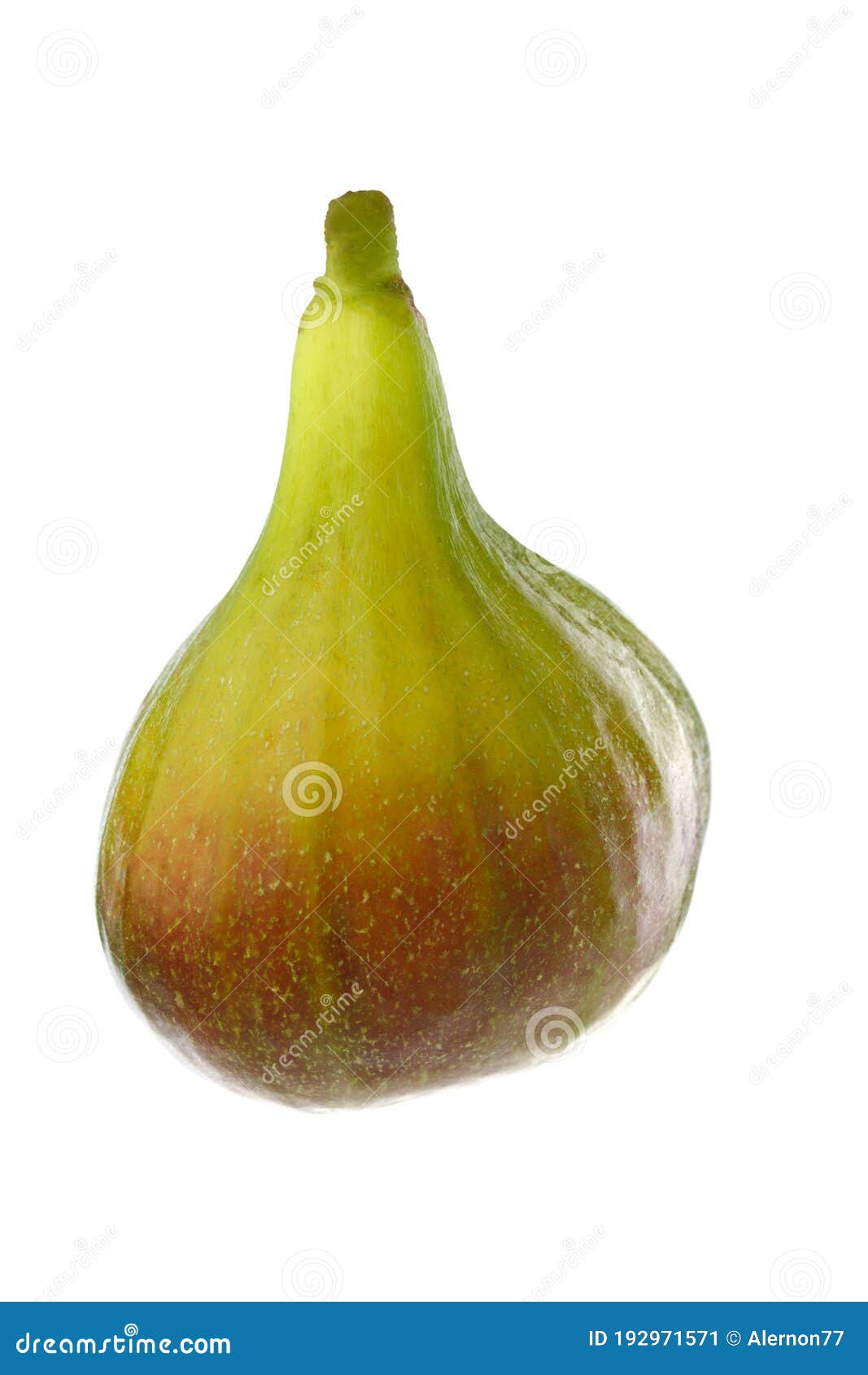 Fresh Ripe Perfect Beautiful Natural Fruit Fig Stock Image - Image of ...