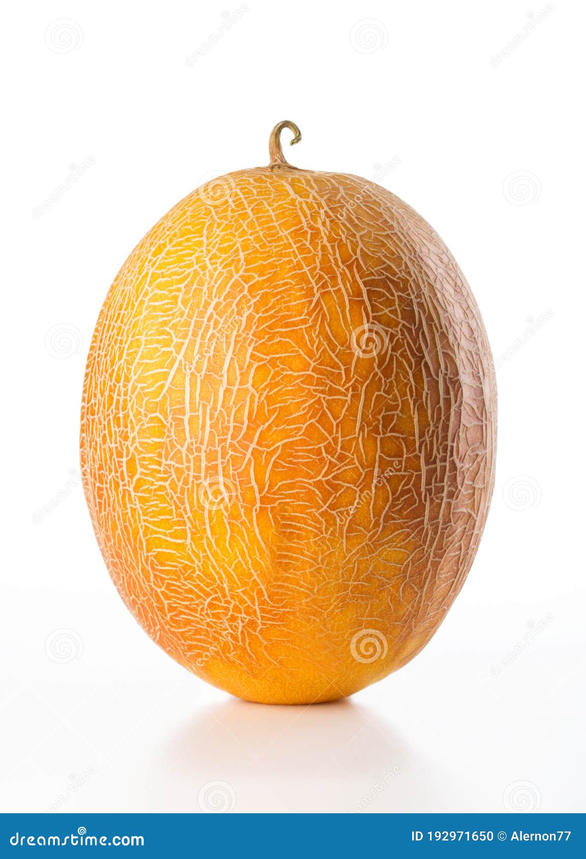 Fresh Ripe Perfect Beautiful Natural Fruit Melon Stock Photo - Image of ...