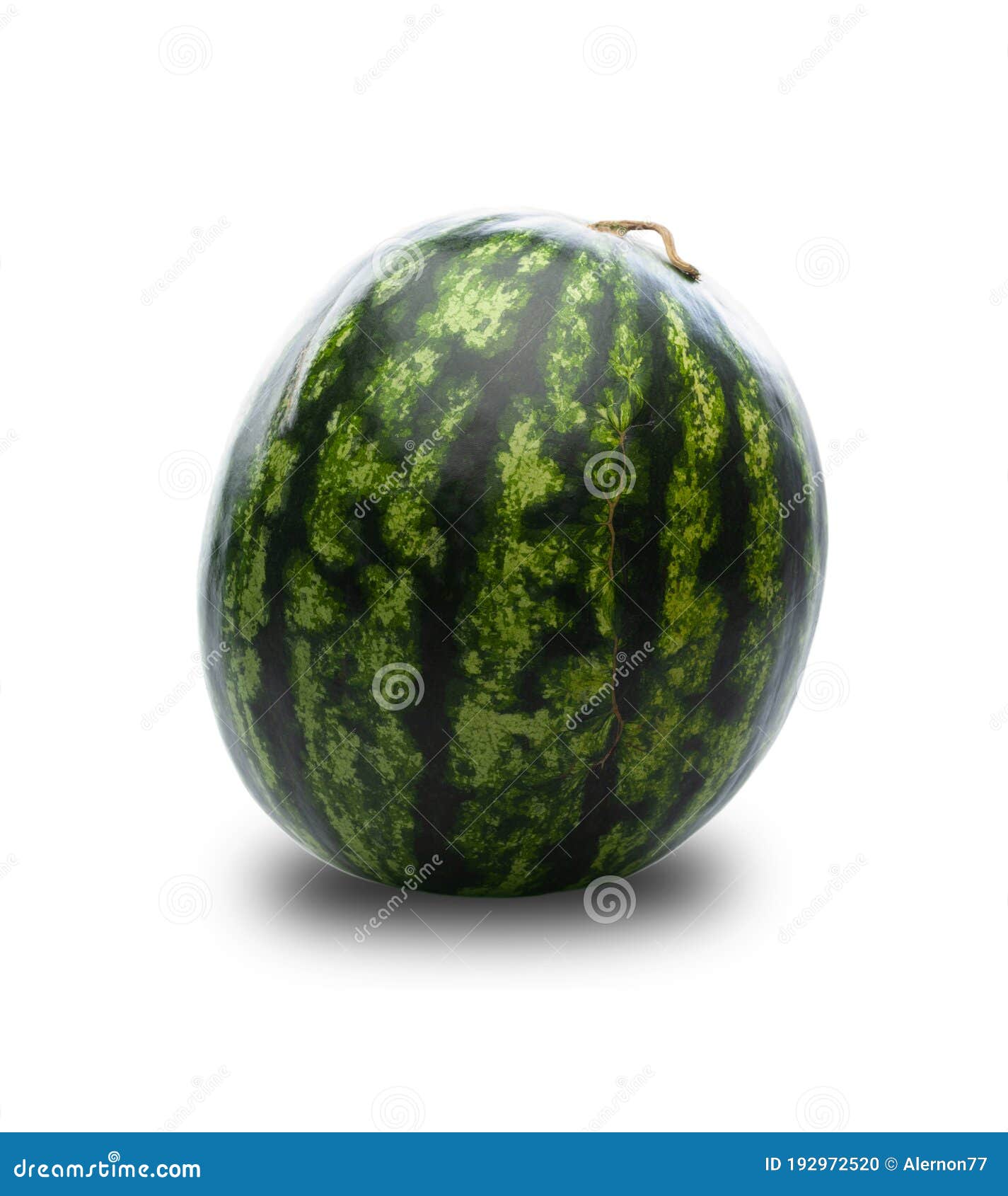 Fresh Ripe Perfect Beautiful Natural Fruit Watermelon Stock Photo ...