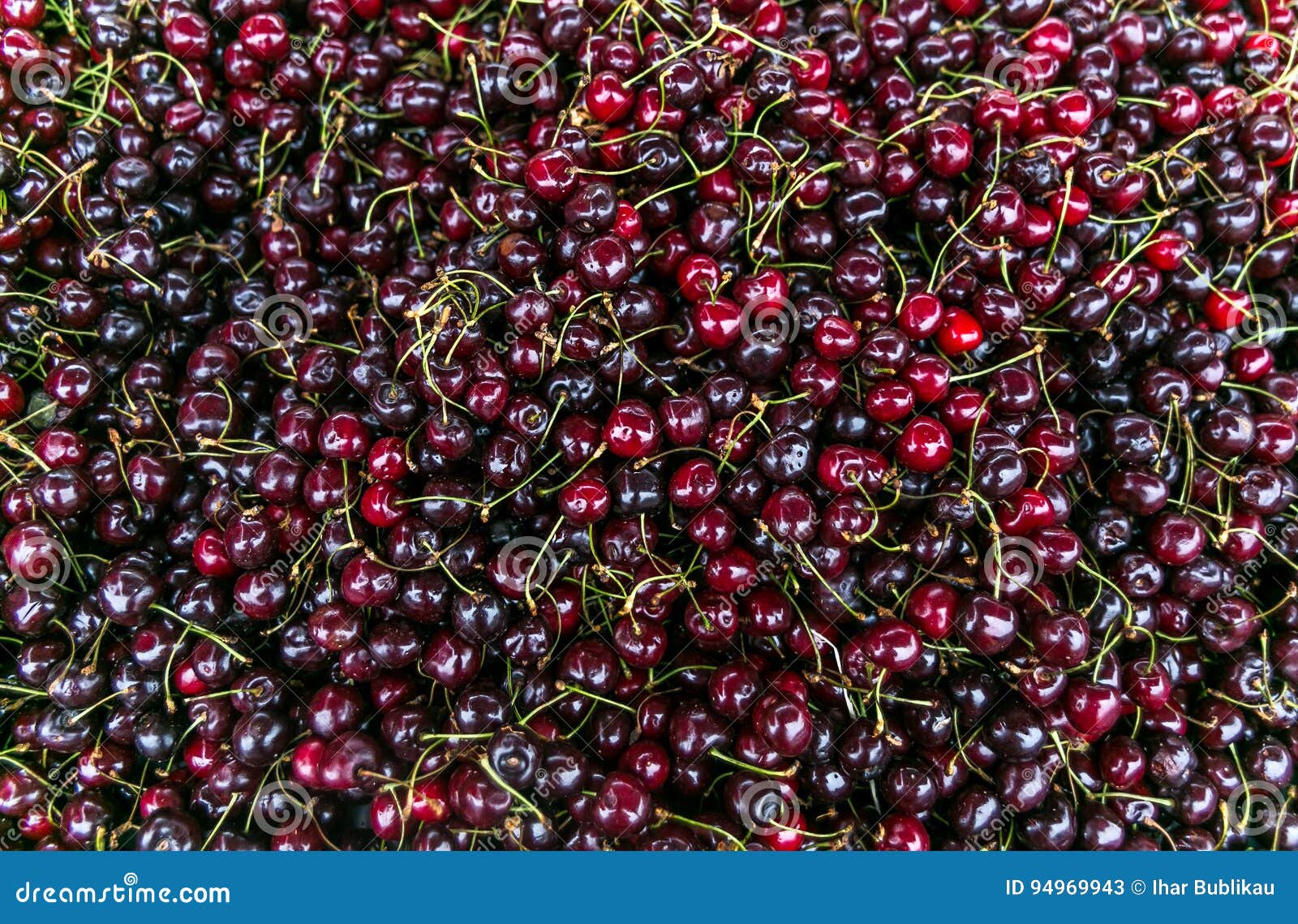 Fresh Ripe Perfect Cherry - Food Frame Background Stock Image - Image ...