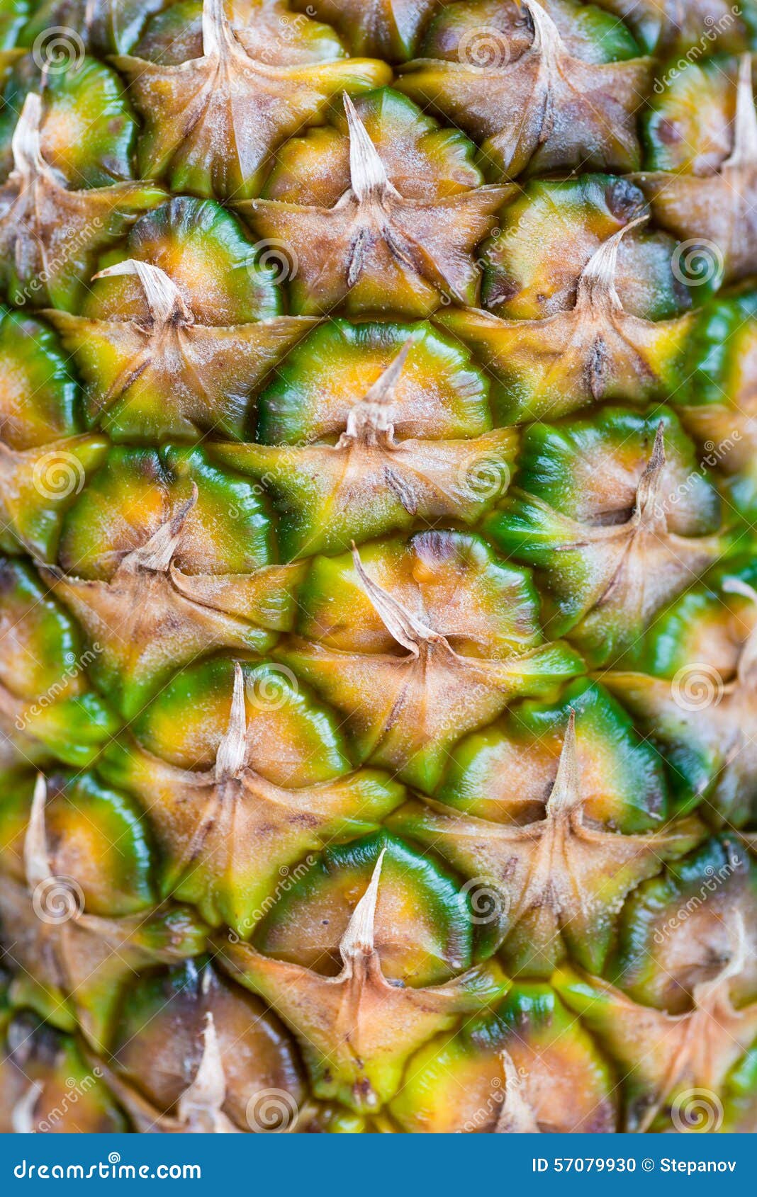 Fresh Ripe Pineapple Texture Stock Photo - Image of fruit, eating: 57079930