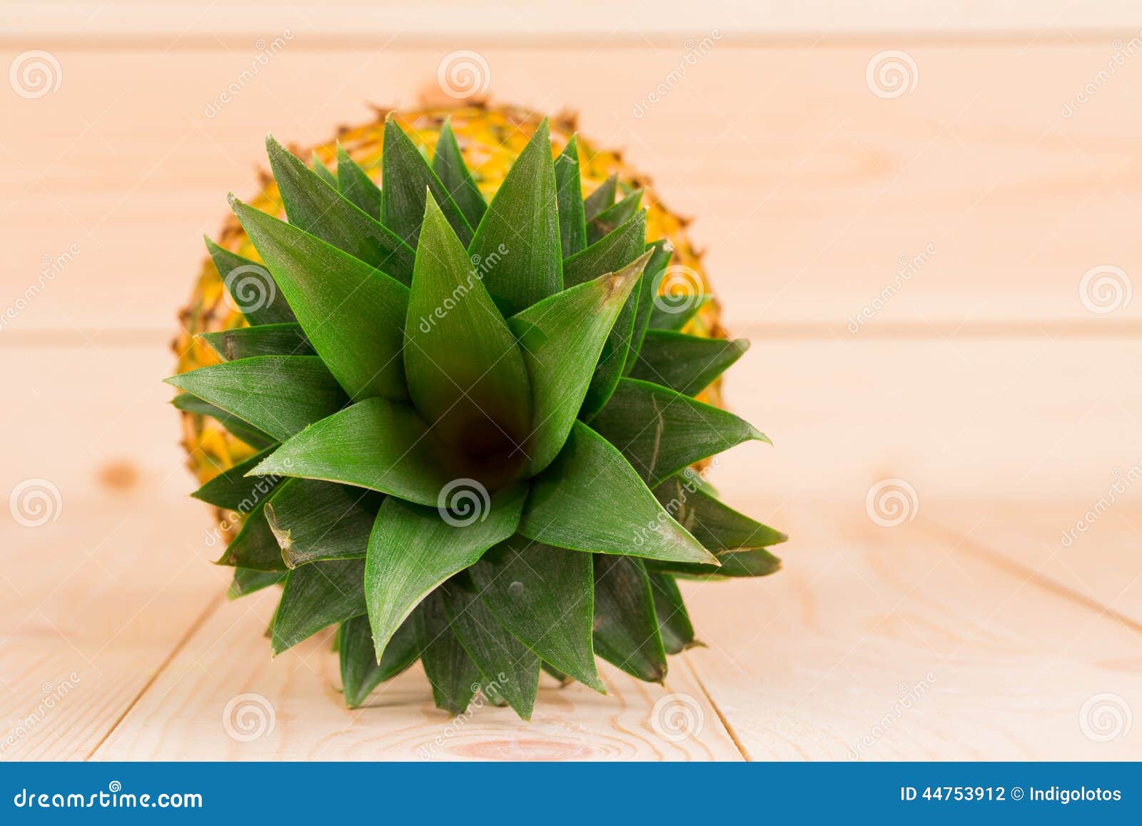 Fresh Ripe Pineapple in Top View Stock Photo - Image of closeup, ripe ...