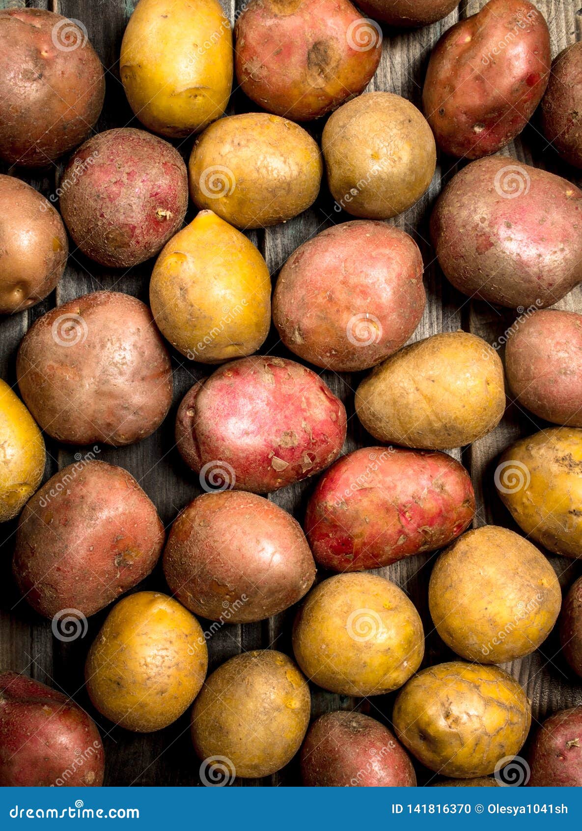 Fresh ripe potatoes stock photo. Image of sweet, nutrition - 141816370