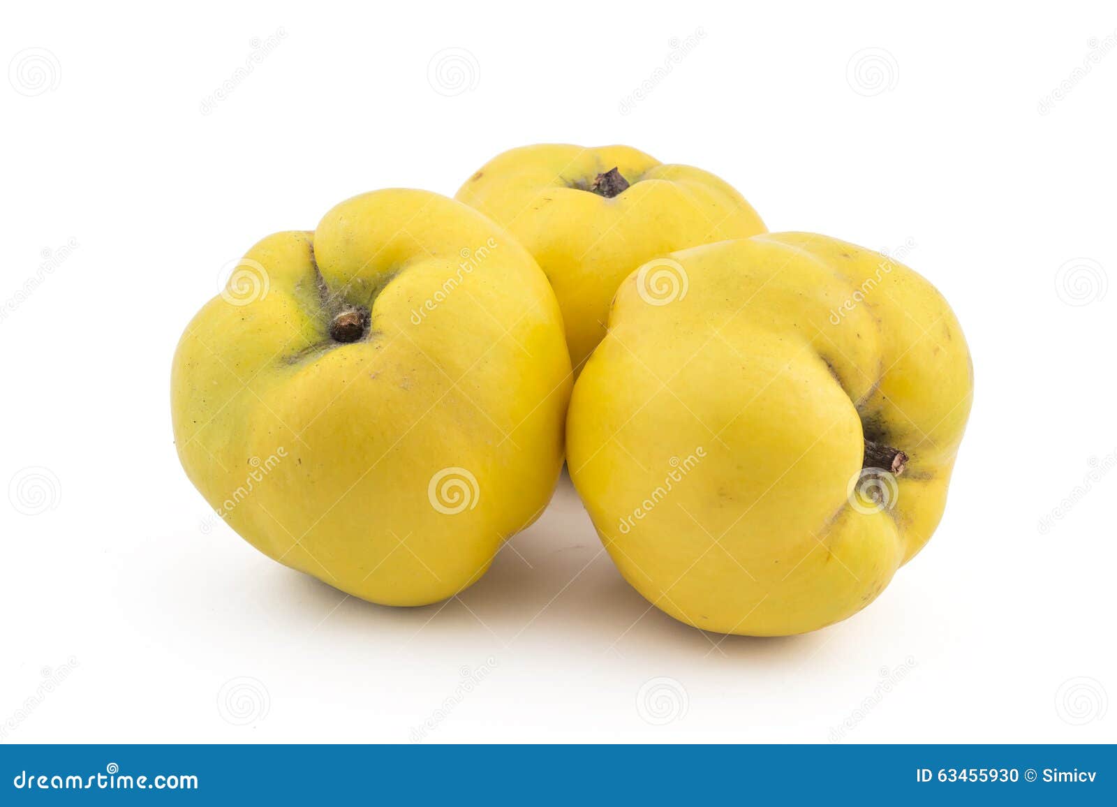Fresh ripe quinces stock photo. Image of dessert, autumn - 63455930