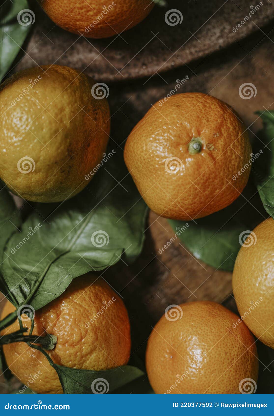 Fresh and Ripe Rangpur Fruit Stock Photo - Image of agriculture ...