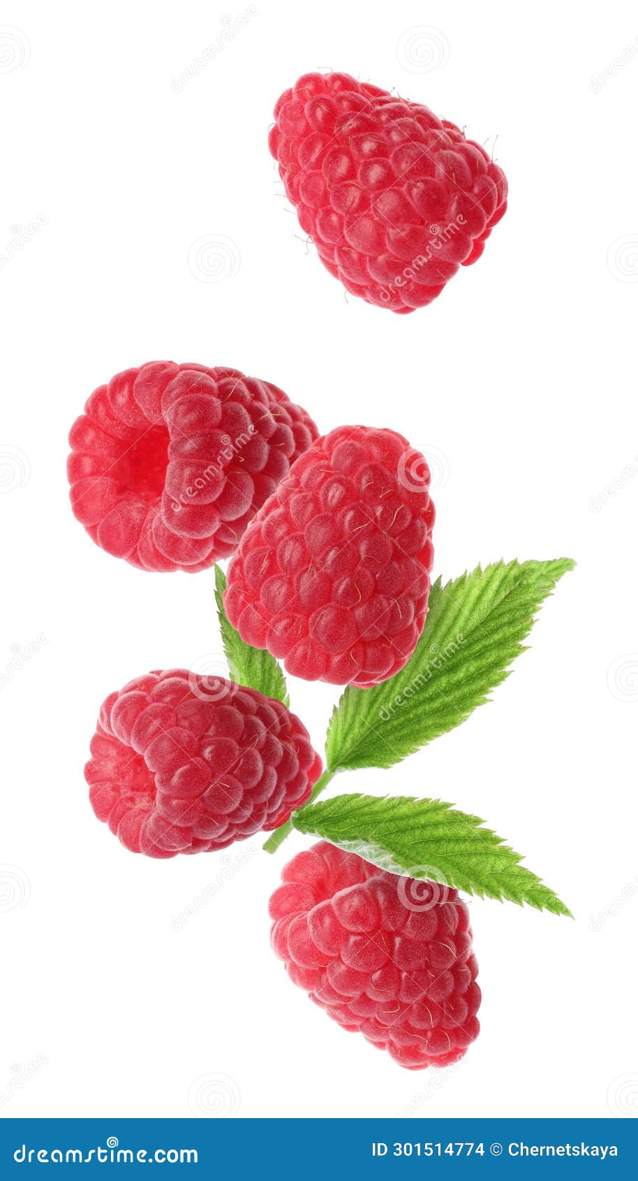 Fresh Ripe Raspberries and Green Leaves Falling on White Background ...