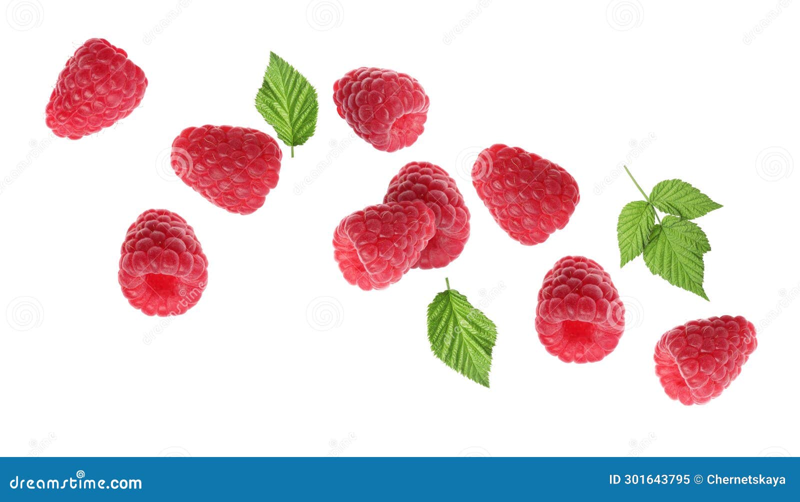 Fresh Ripe Raspberries and Green Leaves Falling on White Background ...