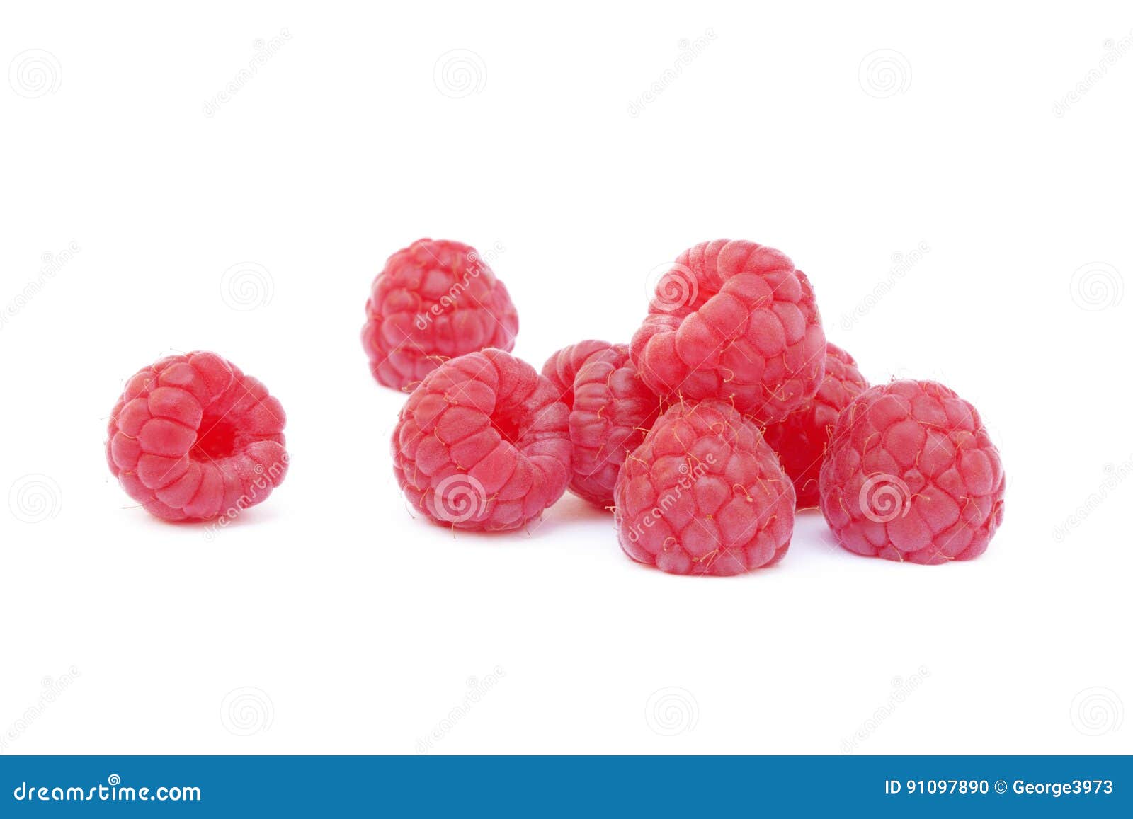 Fresh ripe raspberries stock photo. Image of delicacy - 91097890