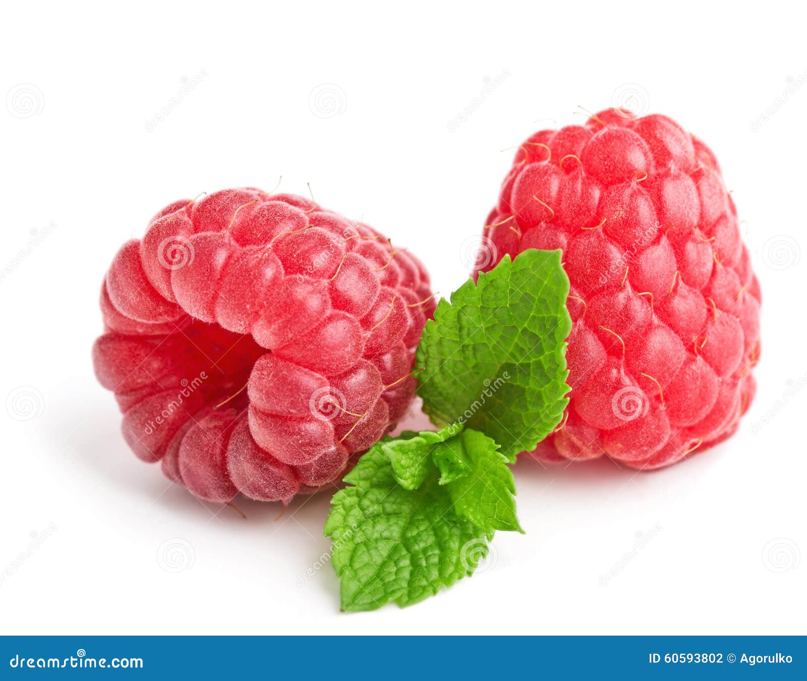 Fresh Ripe Raspberries with Mint Leaves Isolated Stock Photo - Image of ...