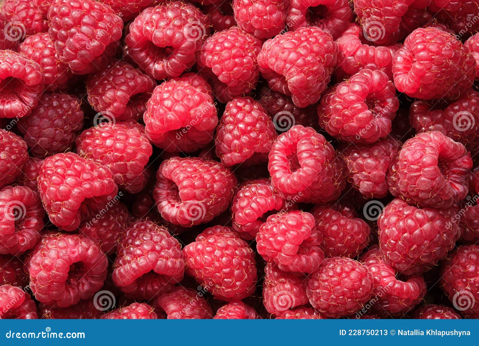 Fresh Ripe Raspberries, Top View. Stock Image - Image of background ...