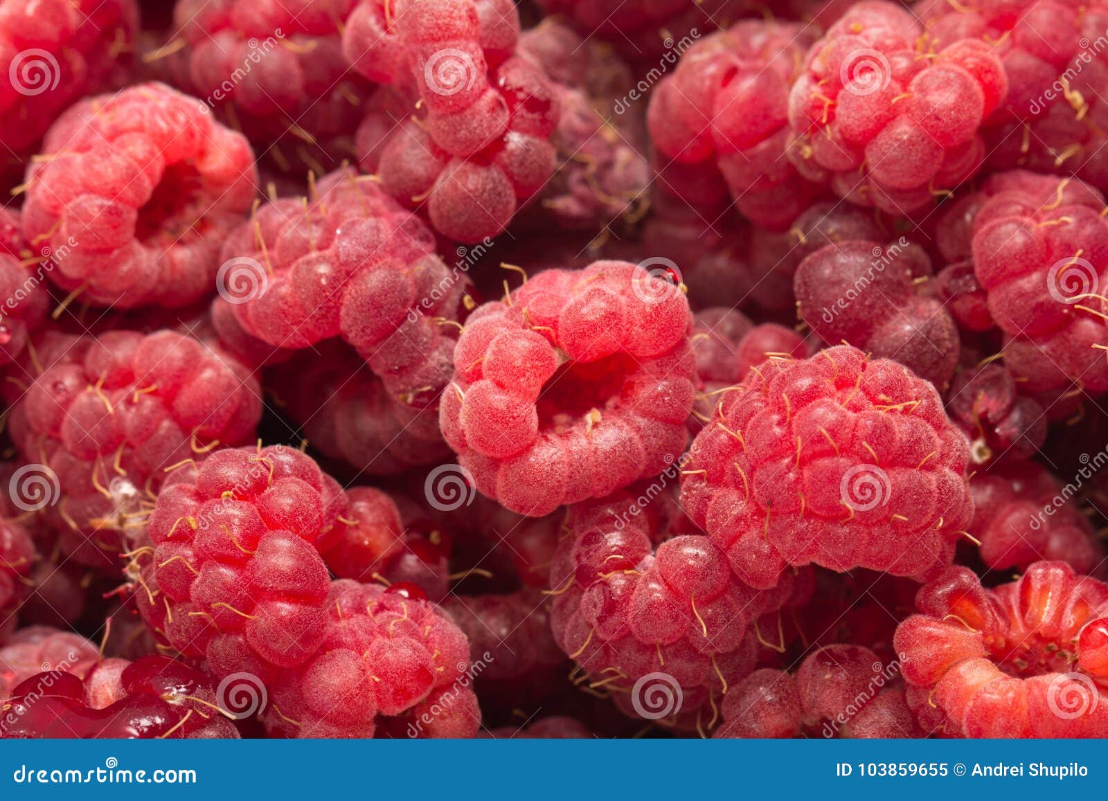 Fresh Ripe Raspberry As a Background Stock Image - Image of abundance ...