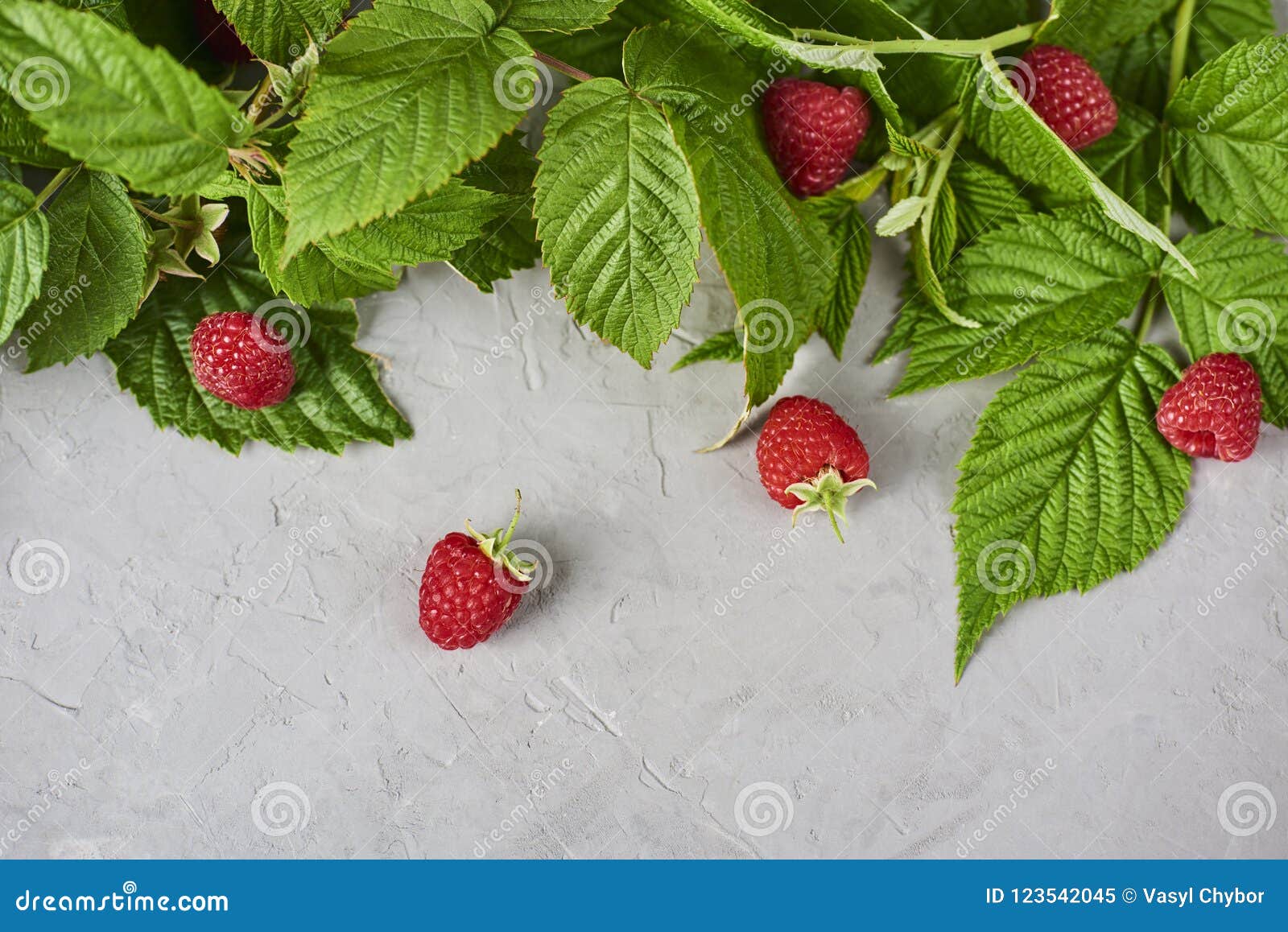 Fresh and Ripe Raspberry with Green Leaves on Concrete Backgrou Stock ...