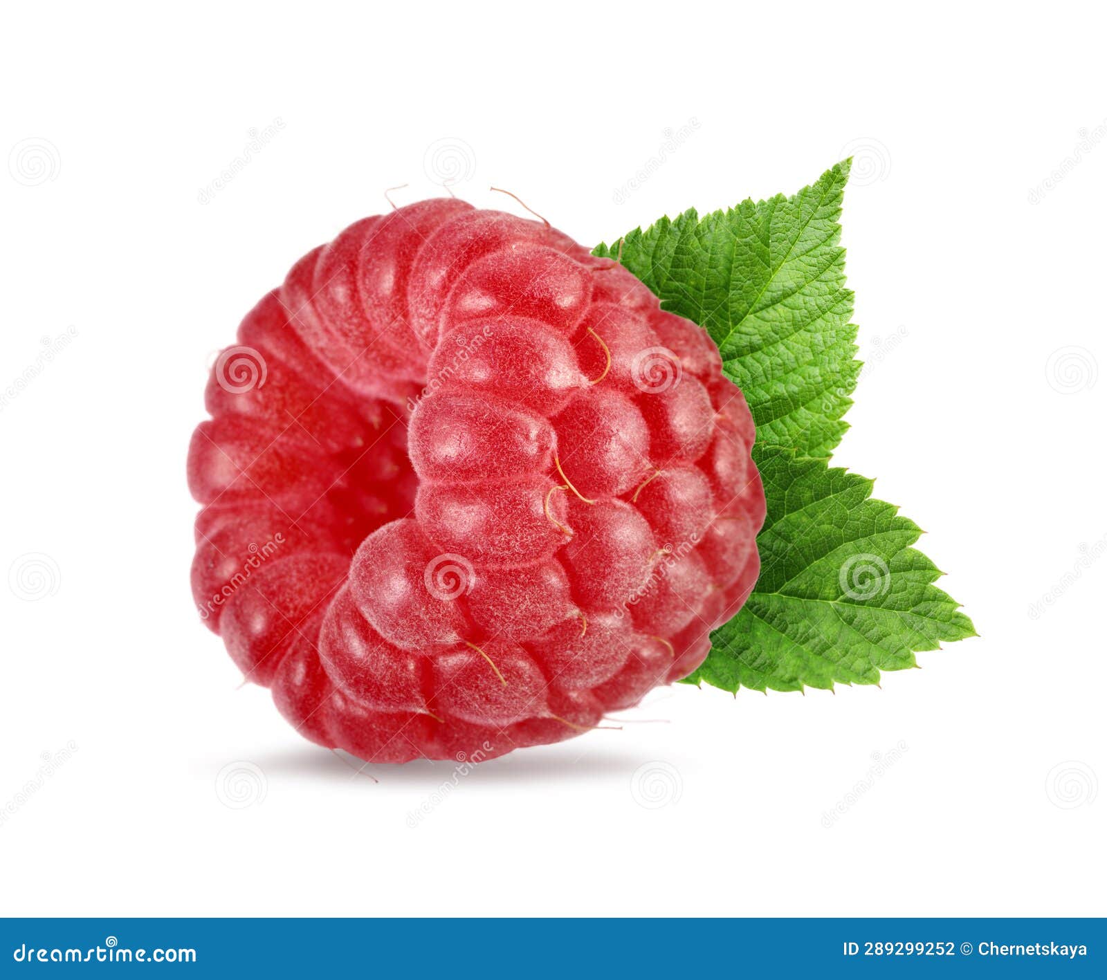 Fresh Ripe Raspberry with Green Leaves Isolated on White Stock Photo ...