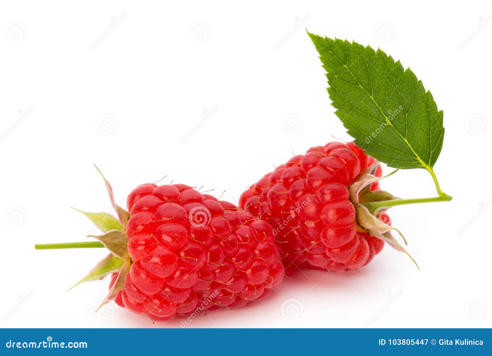Fresh Ripe Raspberry with Leaf Isolated on the White Background. Stock ...