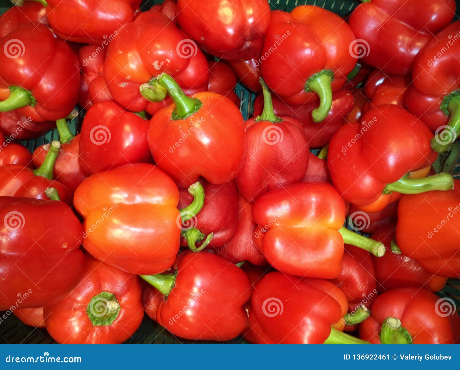 Fresh ripe red peppers stock image. Image of cropn, ripe - 136922461
