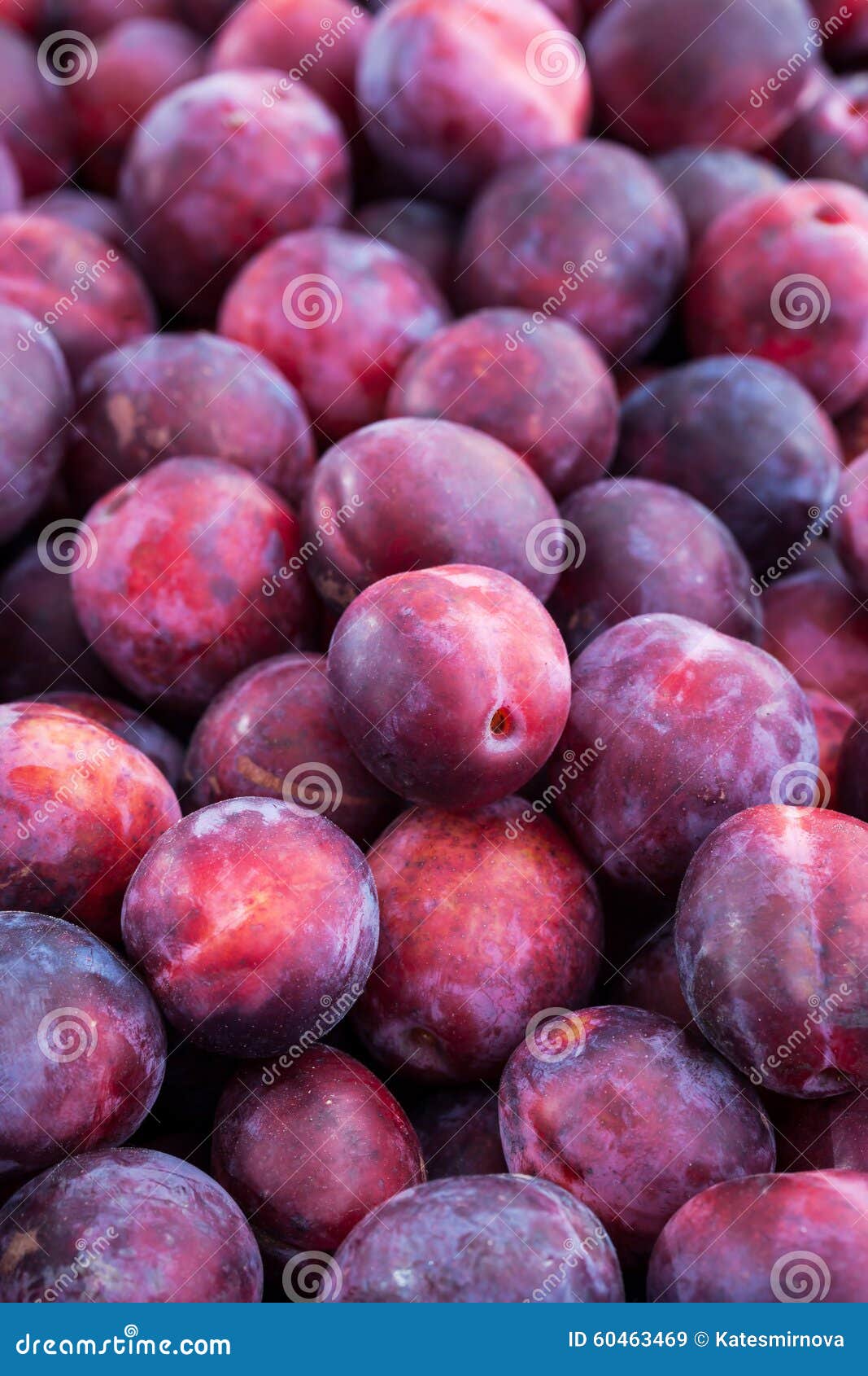 Fresh ripe red plums stock image. Image of garden, berry - 60463469
